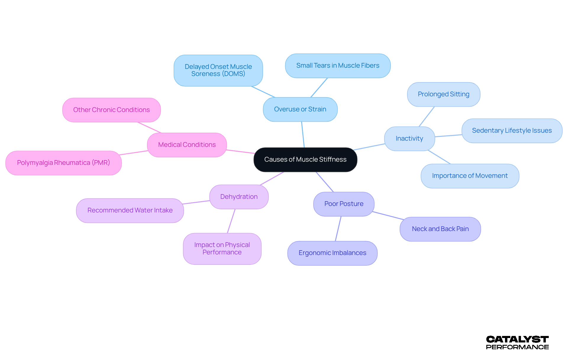 The central node represents the main topic, while each branch shows a different cause of muscle stiffness. The sub-branches provide additional details about each cause, helping you understand how they relate to muscle tension.