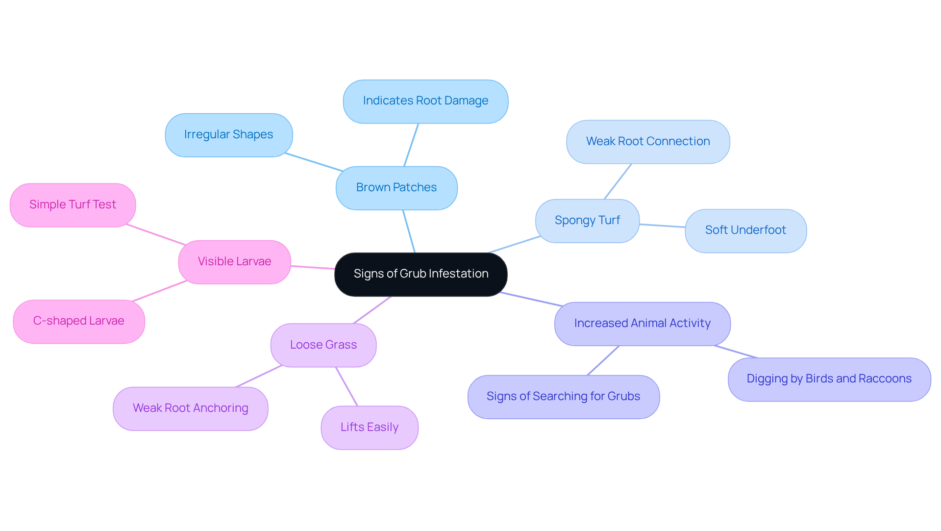 The central node represents the main topic of grub infestation. Each branch shows a specific sign to look for, helping you understand what to monitor in your lawn. The descriptions provide quick insights into what each sign means.