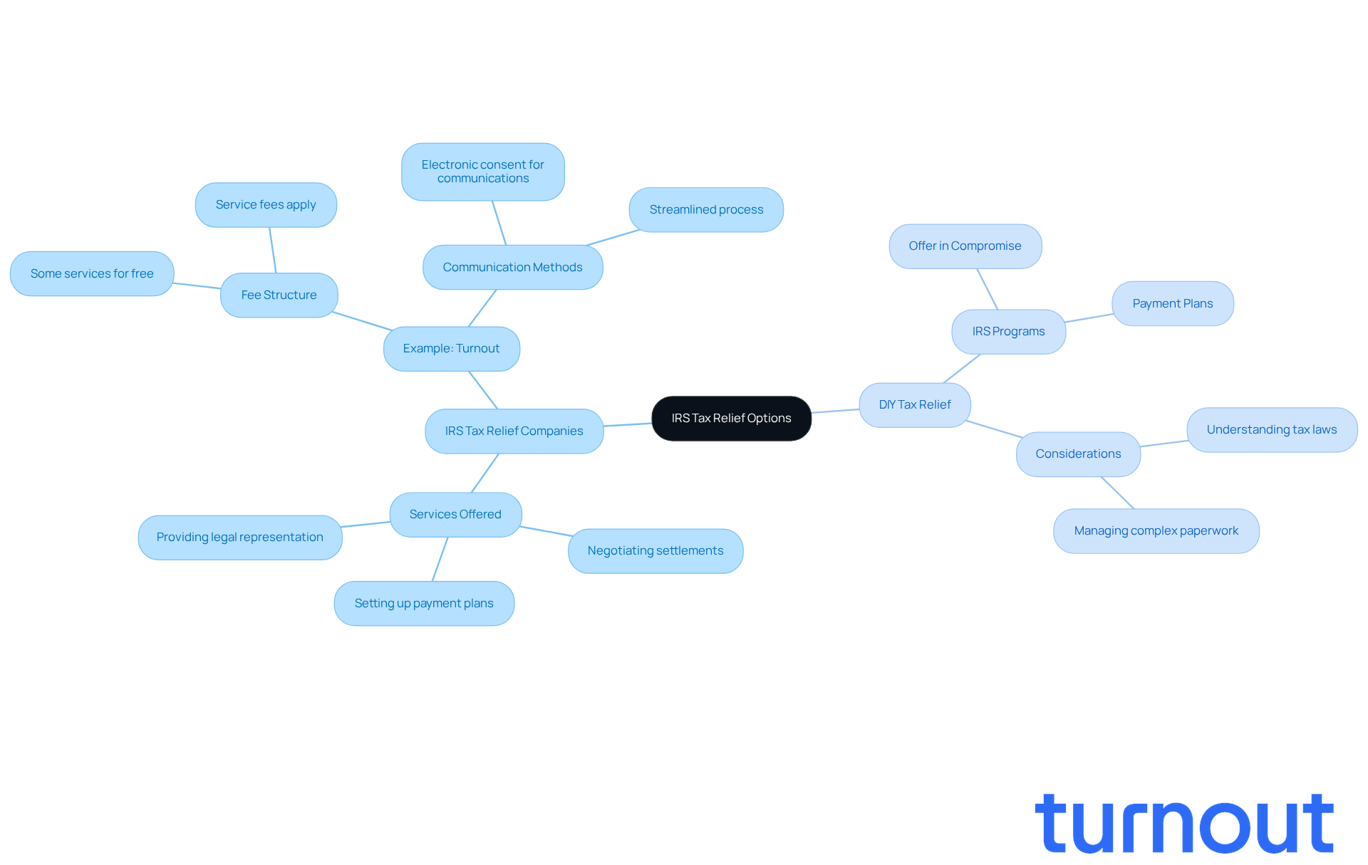 The central node represents the main topic of IRS tax relief. The branches show two approaches: working with professionals or going DIY, along with their specific services and considerations.