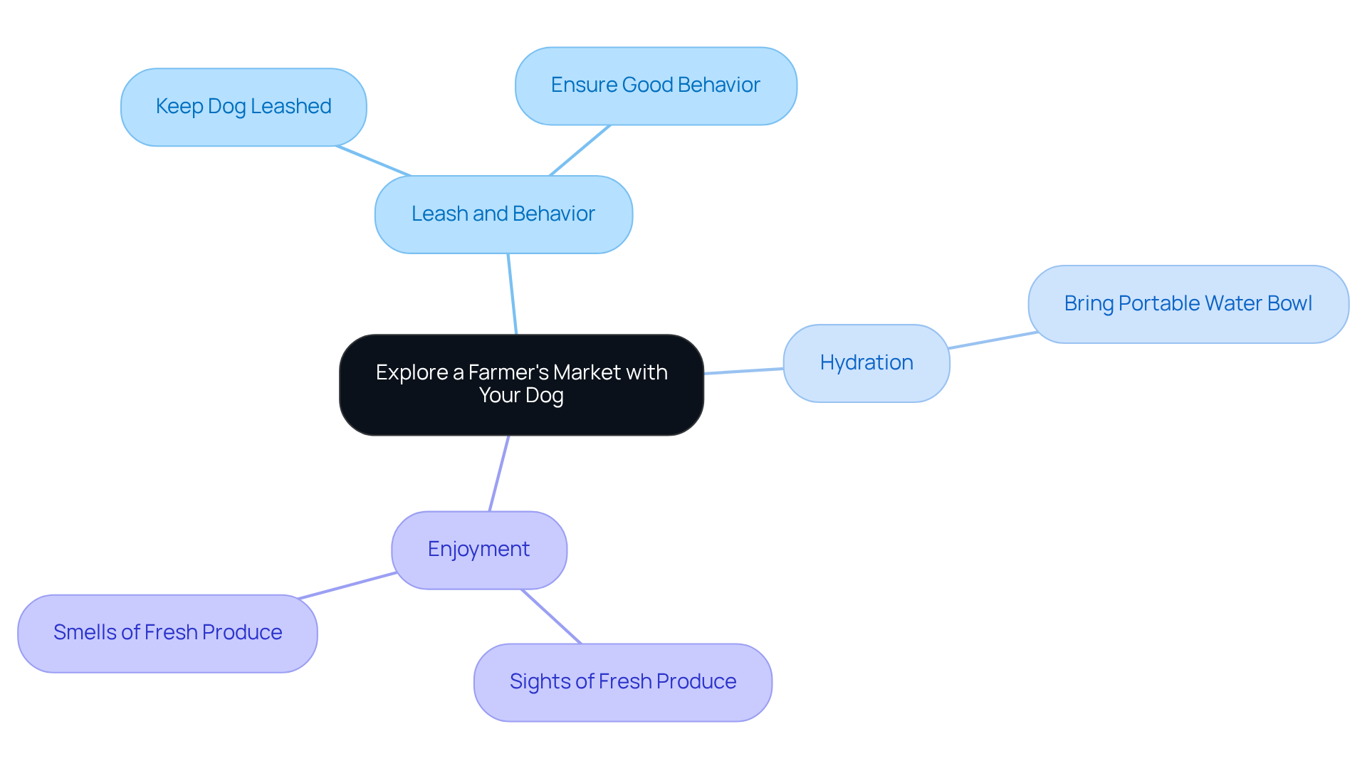 The center shows the main idea of the visit, and the branches highlight important tips to ensure a fun and safe experience for both you and your dog.