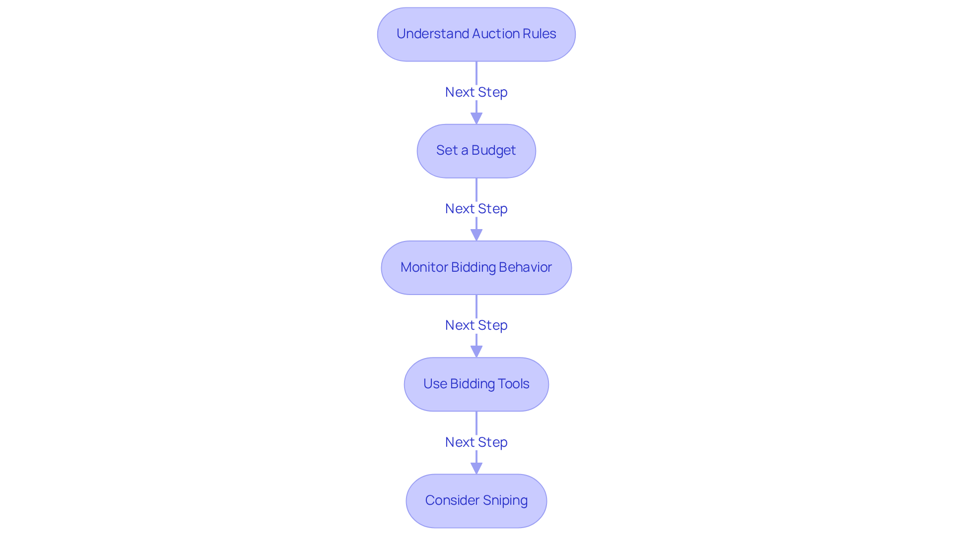 Follow the arrows to see the steps you need to take in the auction process. Each box represents an important action or strategy to help you succeed in bidding.