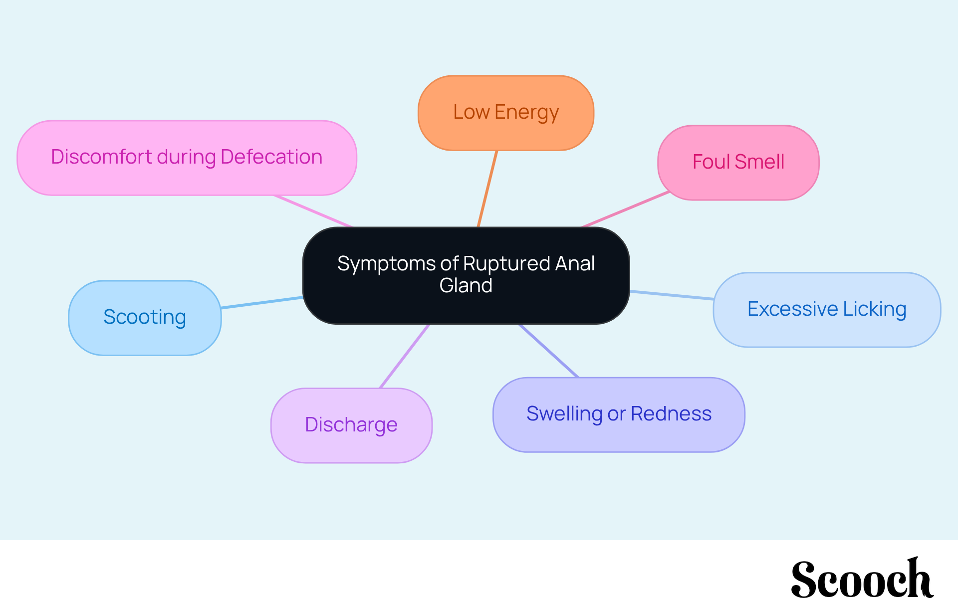 Each branch represents a different symptom that may indicate a problem with your dog's anal glands — the more symptoms you notice, the more urgent it may be to seek veterinary care. Each branch represents a different symptom that may indicate a problem with your dog's anal glands — the more symptoms you notice, the more urgent it may be to seek veterinary care.