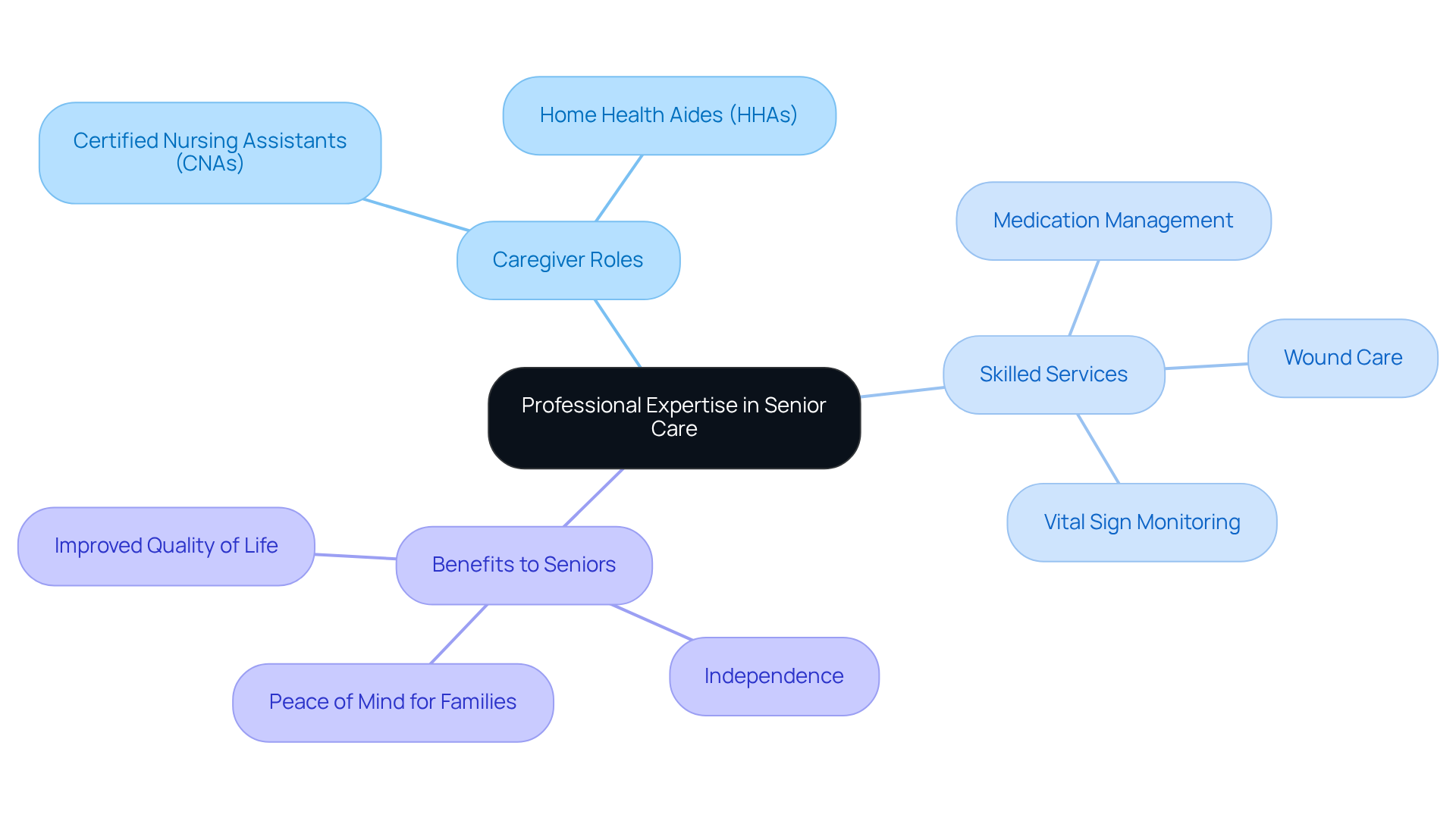 The center represents the main idea of professional care for seniors, while branches show the roles of caregivers, the services they provide, and the positive impacts on seniors' lives.