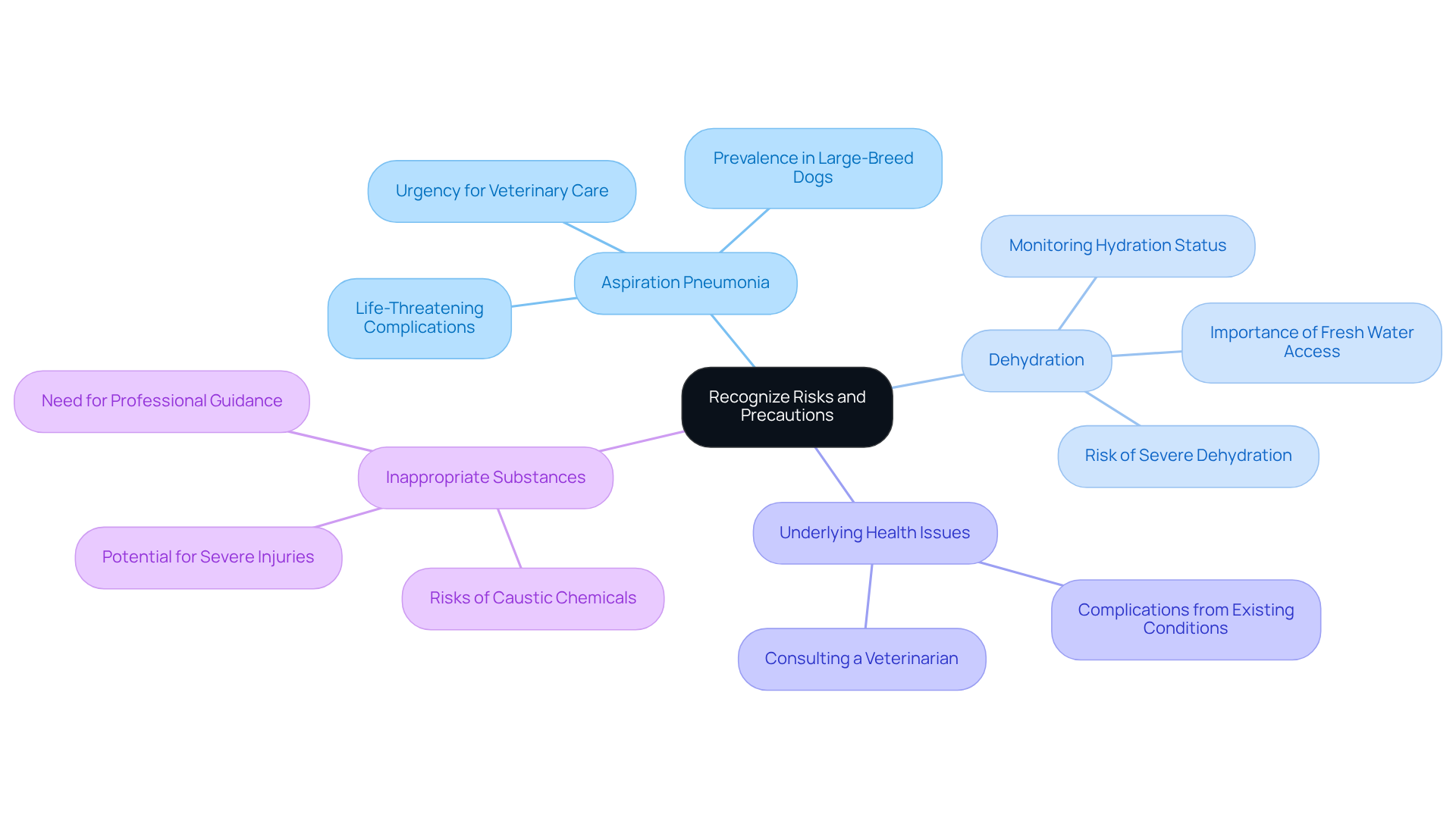 The central idea is about the risks involved in inducing vomiting in dogs. Each branch represents a specific risk, with further details extending from it. The colors help differentiate between the risks, making it straightforward to follow and understand.