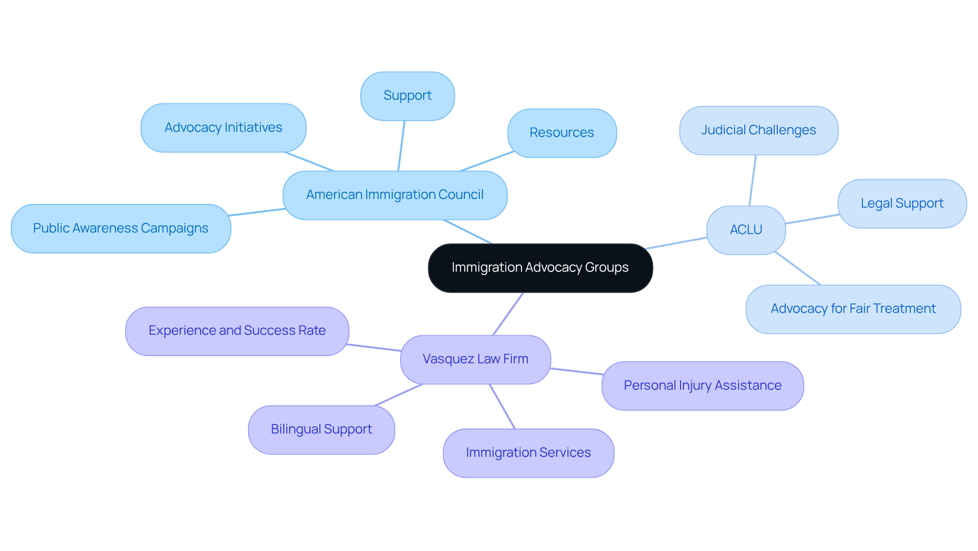 The central node represents the main theme of immigration advocacy. Each branch shows a different organization and its specific contributions to protecting immigrant rights. Follow the branches to see how each group supports immigrants, especially healthcare workers.