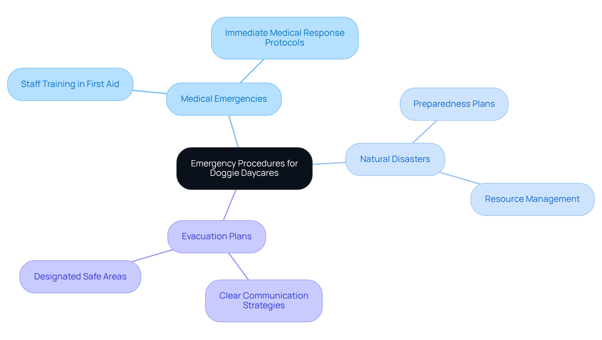 At the center is the main focus on emergency procedures. Each branch explores a key area, with further details on necessary actions, helping pet owners understand the importance of safety measures in daycare facilities.