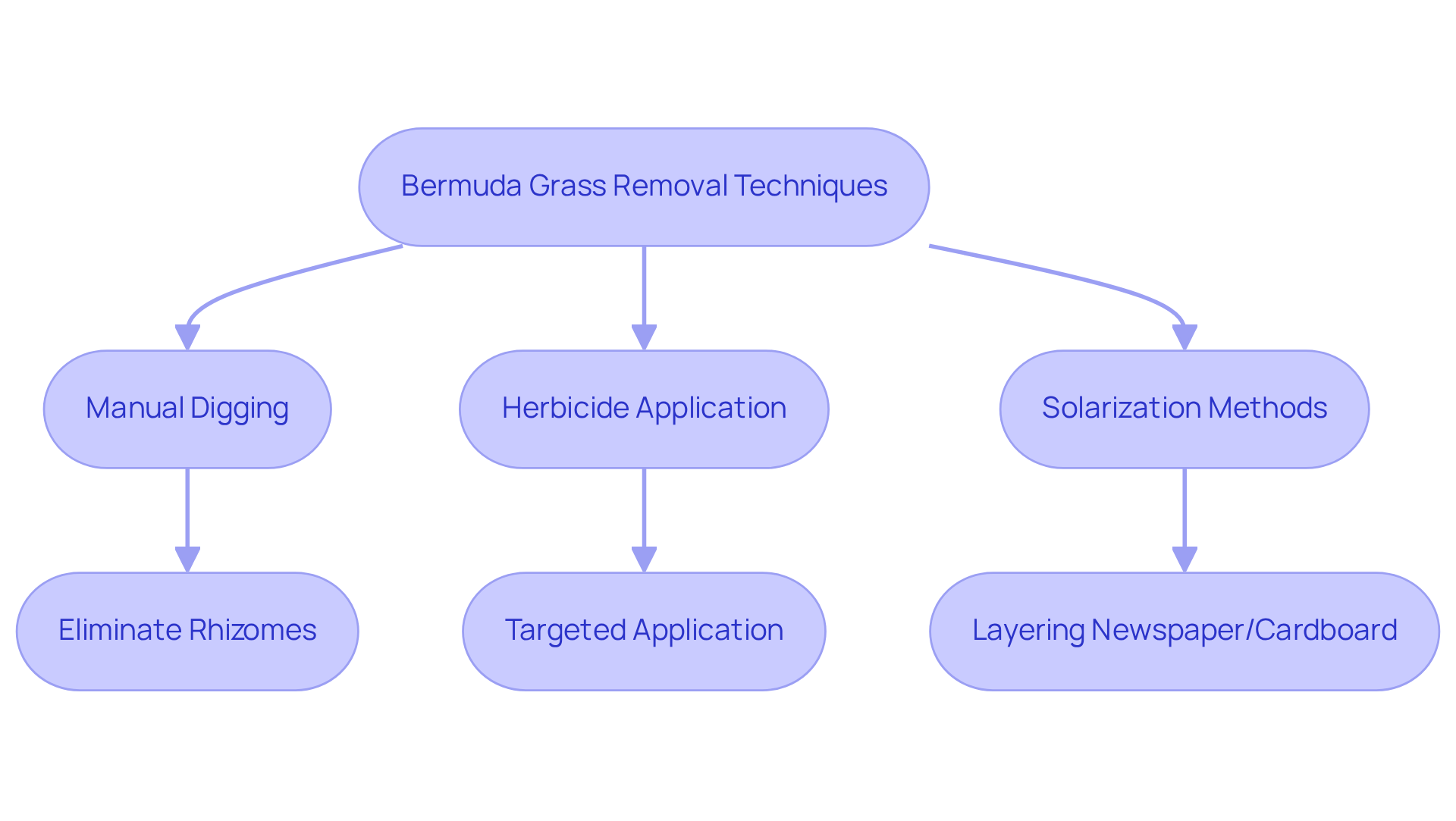 Follow the arrows to see the different methods for tackling Bermuda grass. Each path shows specific actions you can take to reclaim your garden and ensure your plants thrive. Follow the arrows to see the different methods for tackling Bermuda grass. Each path shows specific actions you can take to reclaim your garden and ensure your plants thrive.