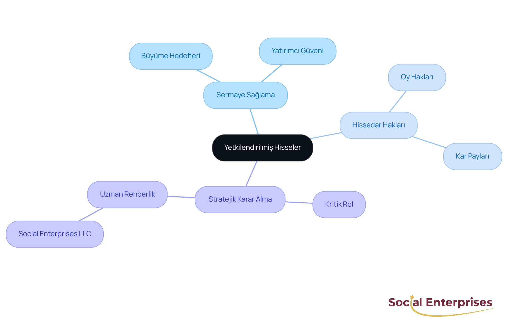 Merkezdeki ana kavramdan başlayarak, hisselerin işleyişi ile ilgili önemli noktaları takip eden dallar ile keşfedin. Her dal, konuyu daha iyi anlamanızı sağlayacak ek bilgileri sunuyor.