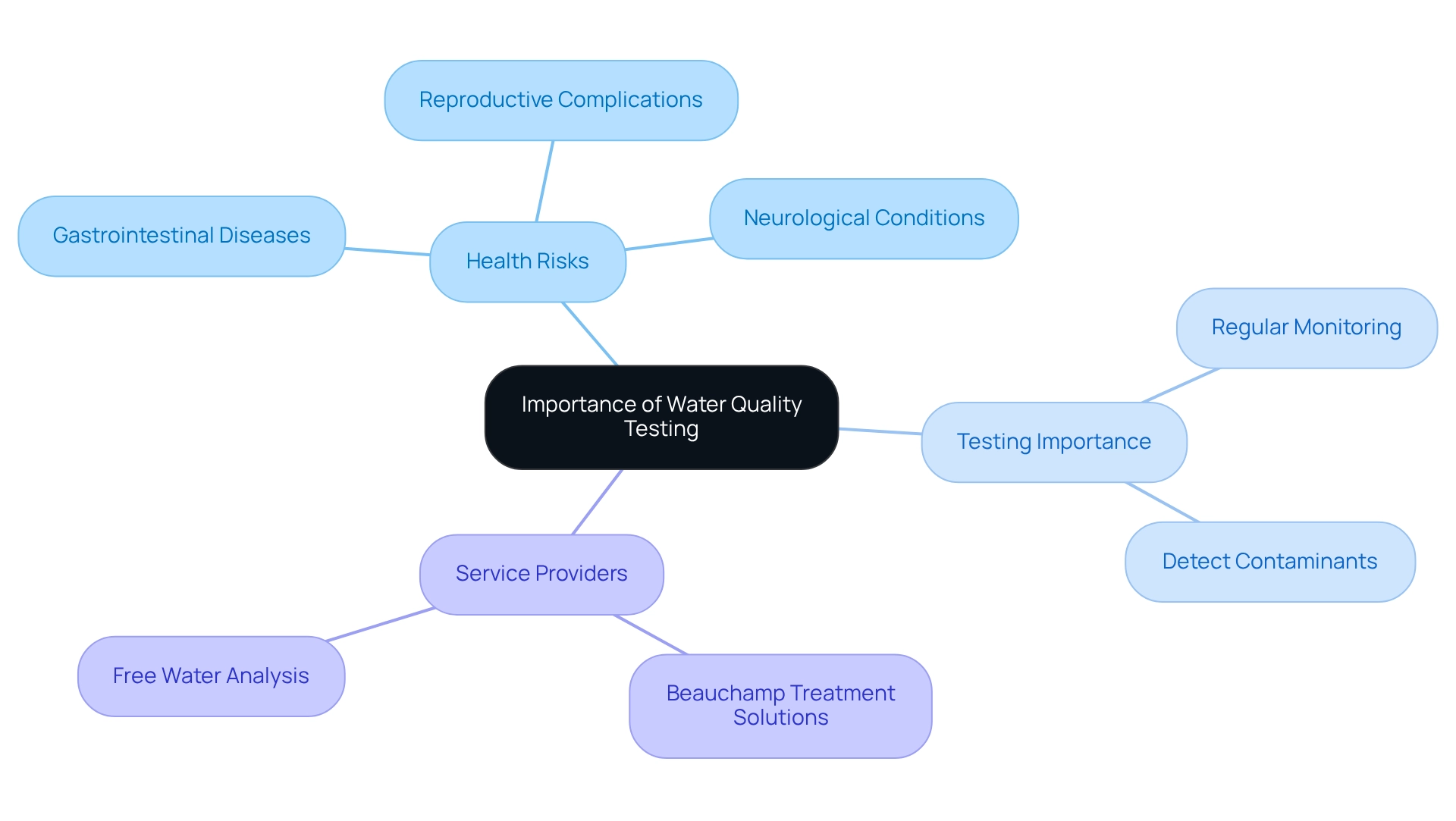 The central node represents the main topic; branches represent key areas: Health Risks, Testing Importance, and Service Providers. The central node represents the main topic; branches represent key areas: Health Risks, Testing Importance, and Service Providers.