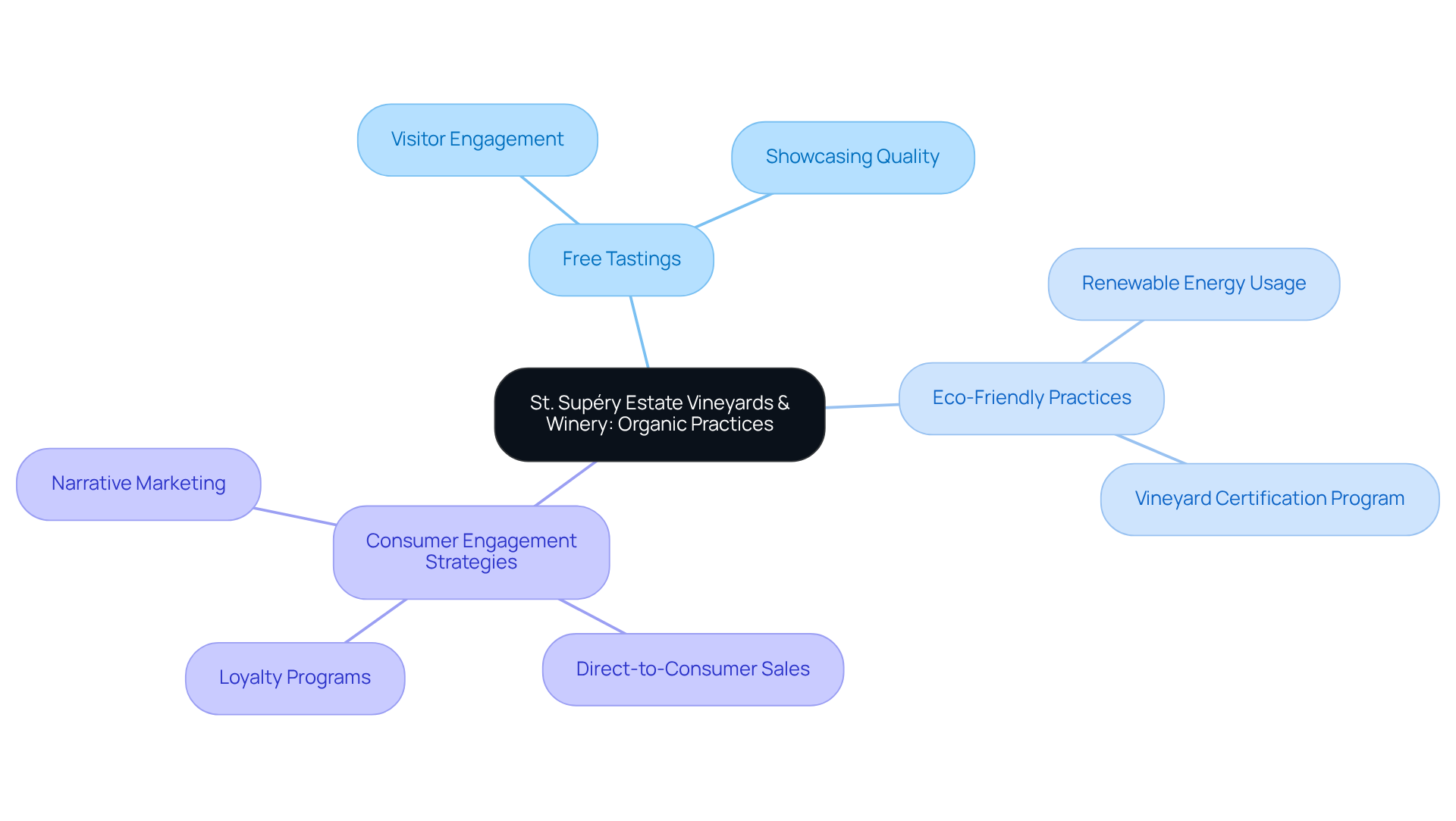 The center represents the winery's focus on organic winemaking. Each branch shows different aspects of their practices and strategies, helping you understand how they connect and contribute to their mission.