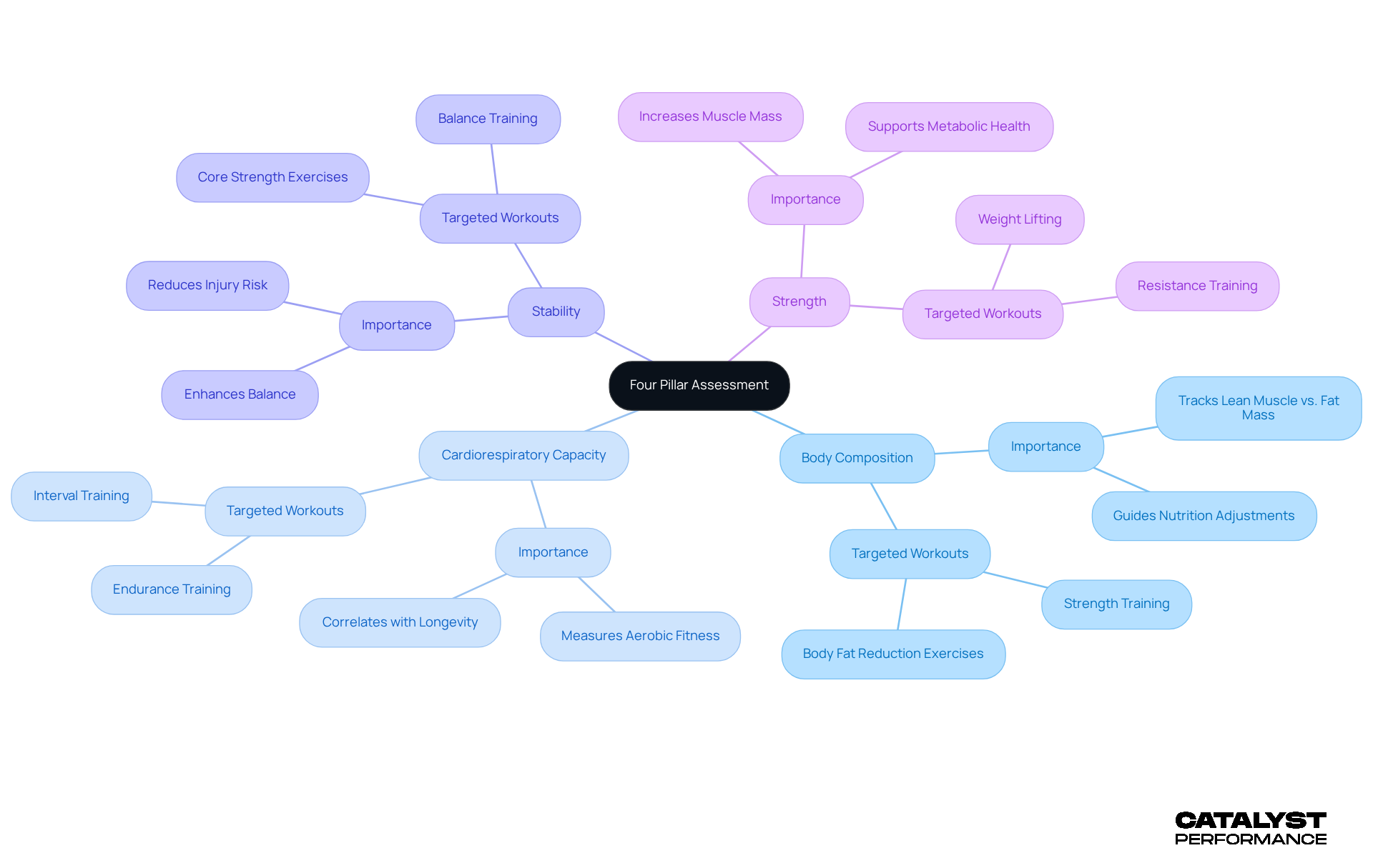 The center represents the assessment system, while the branches show the four key health dimensions. Each dimension connects to specific training strategies, helping you visualize how to tailor your fitness journey. The center represents the assessment system, while the branches show the four key health dimensions. Each dimension connects to specific training strategies, helping you visualize how to tailor your fitness journey.