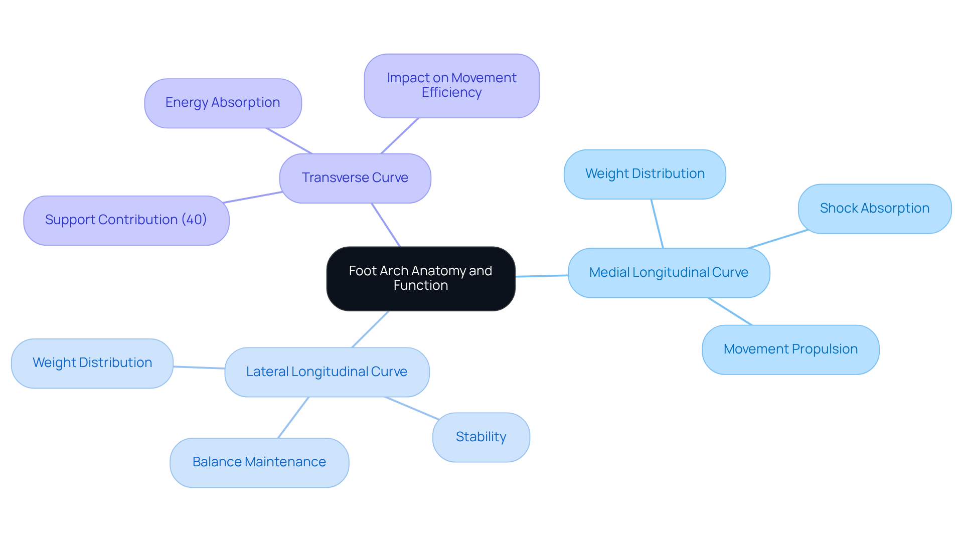 This mindmap starts with the main idea of foot arch anatomy at the center. Each branch represents a different curve of the foot, showing how they contribute to movement and stability. Follow the branches to see how each curve functions and why it's important for your overall foot health.