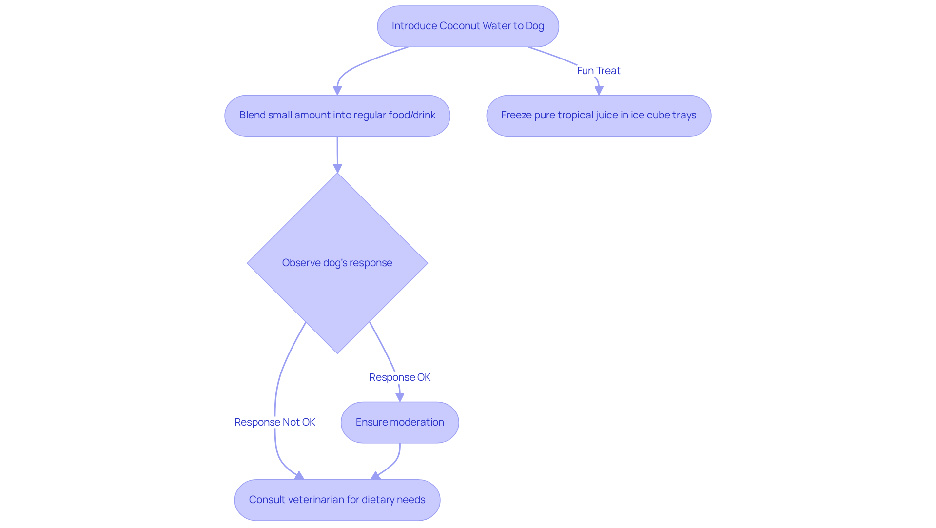 Follow the arrows to see how to introduce coconut water safely — each step guides you through the process, from blending to consulting your vet. Follow the arrows to see how to introduce coconut water safely — each step guides you through the process, from blending to consulting your vet.