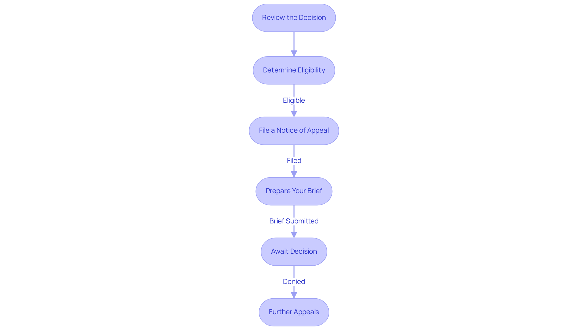 Each box represents a step in the immigration appeals process. Follow the arrows to see how each step leads to the next, from reviewing the decision to potentially appealing in federal court.