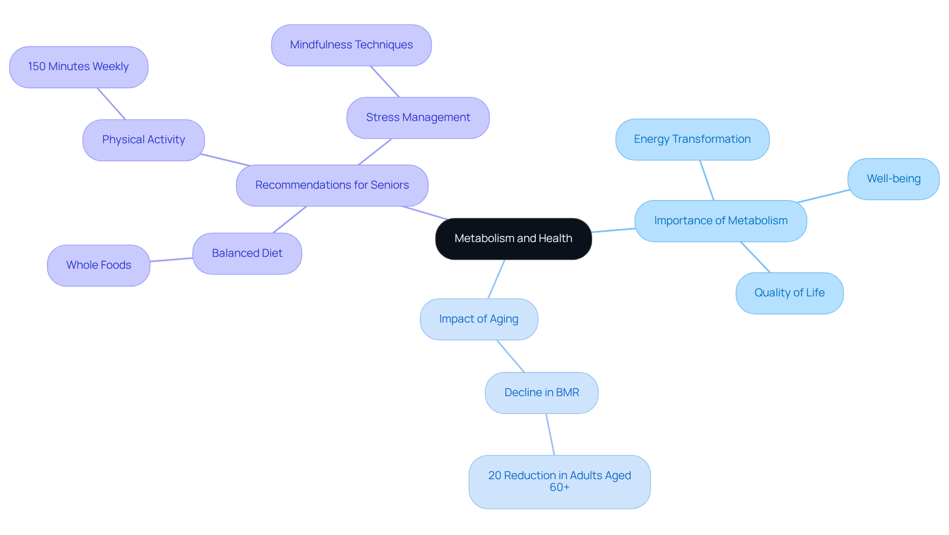 The central node represents metabolism's importance, while branches lead to key impacts and actionable strategies for seniors. Follow the branches to see how each component is interconnected.