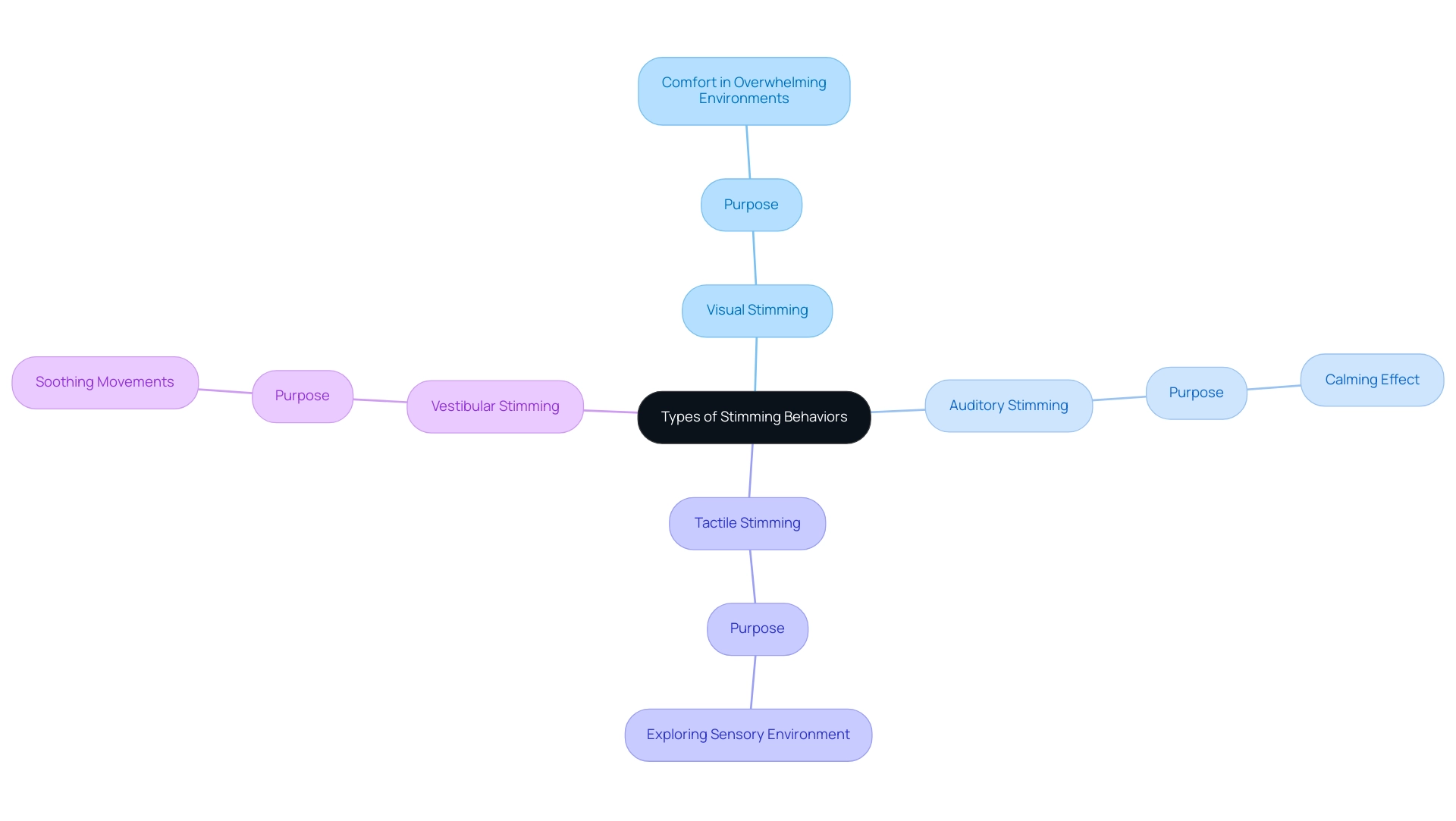 The central node represents the overall concept of stimming behaviors, with branches detailing the four main types and their respective descriptions.