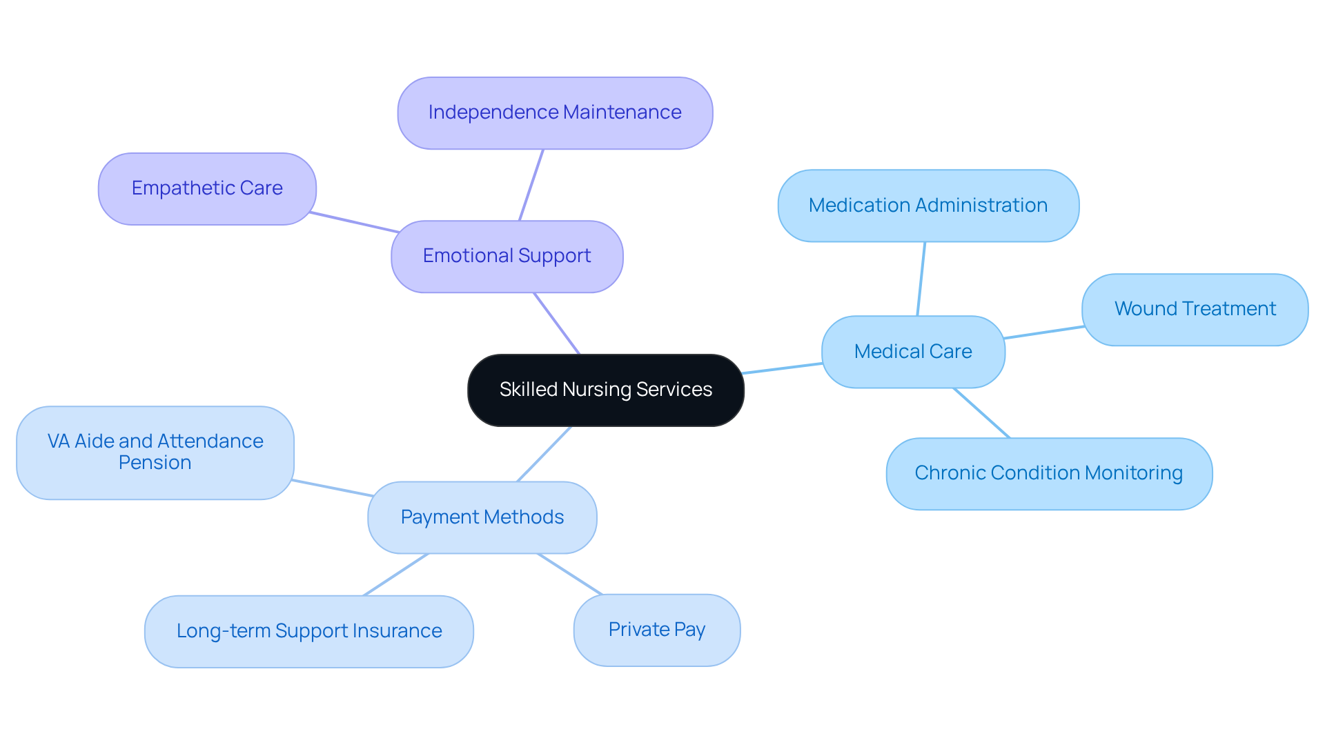 The central node shows the core concept of skilled nursing. The branches illustrate the various services, payment options, and emotional support available for seniors, guiding you through the interconnected aspects of care.