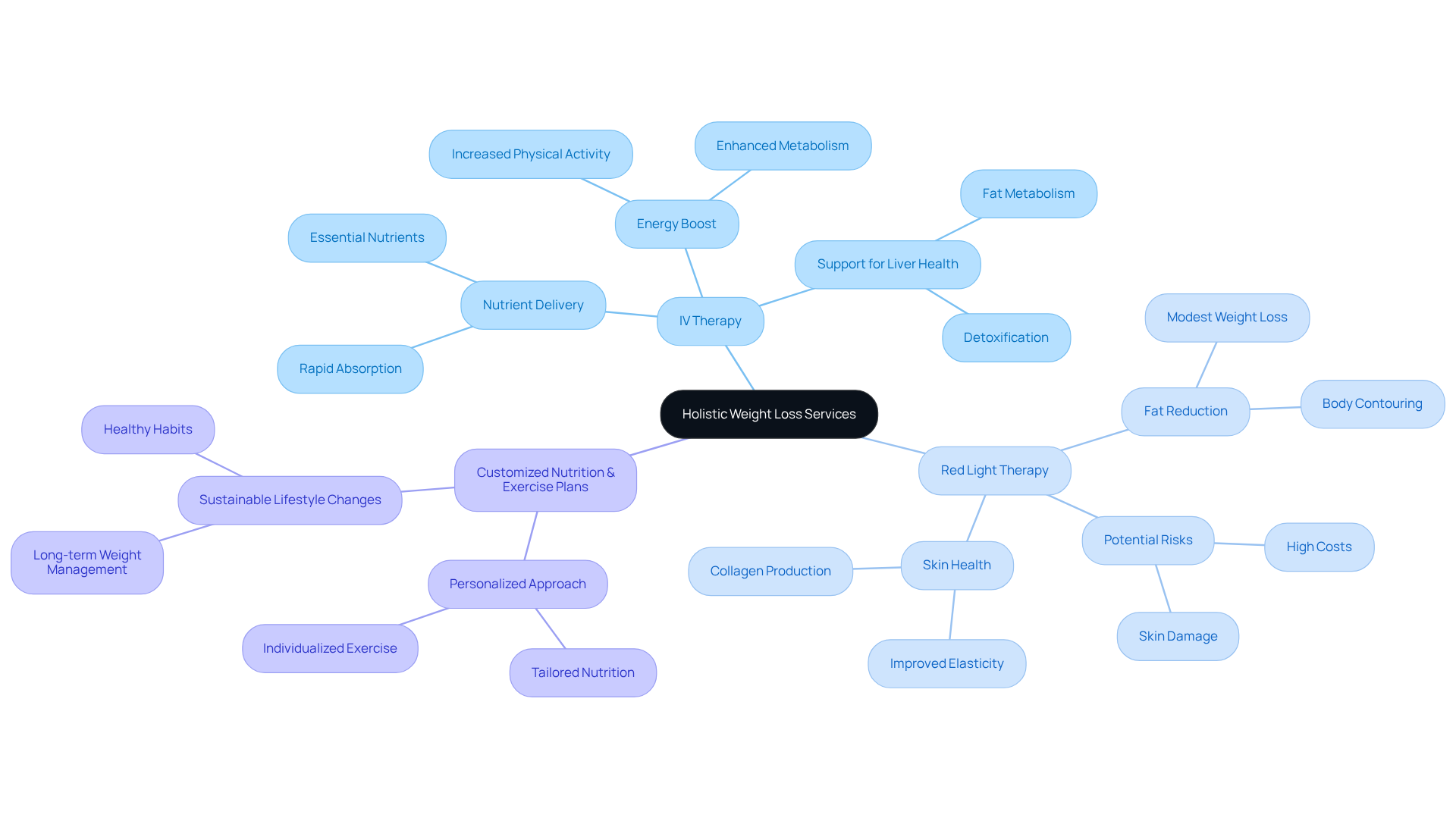 This mindmap shows how different services work together to support your weight loss journey. Start at the center with the main idea, then follow the branches to see the specific services and their benefits.