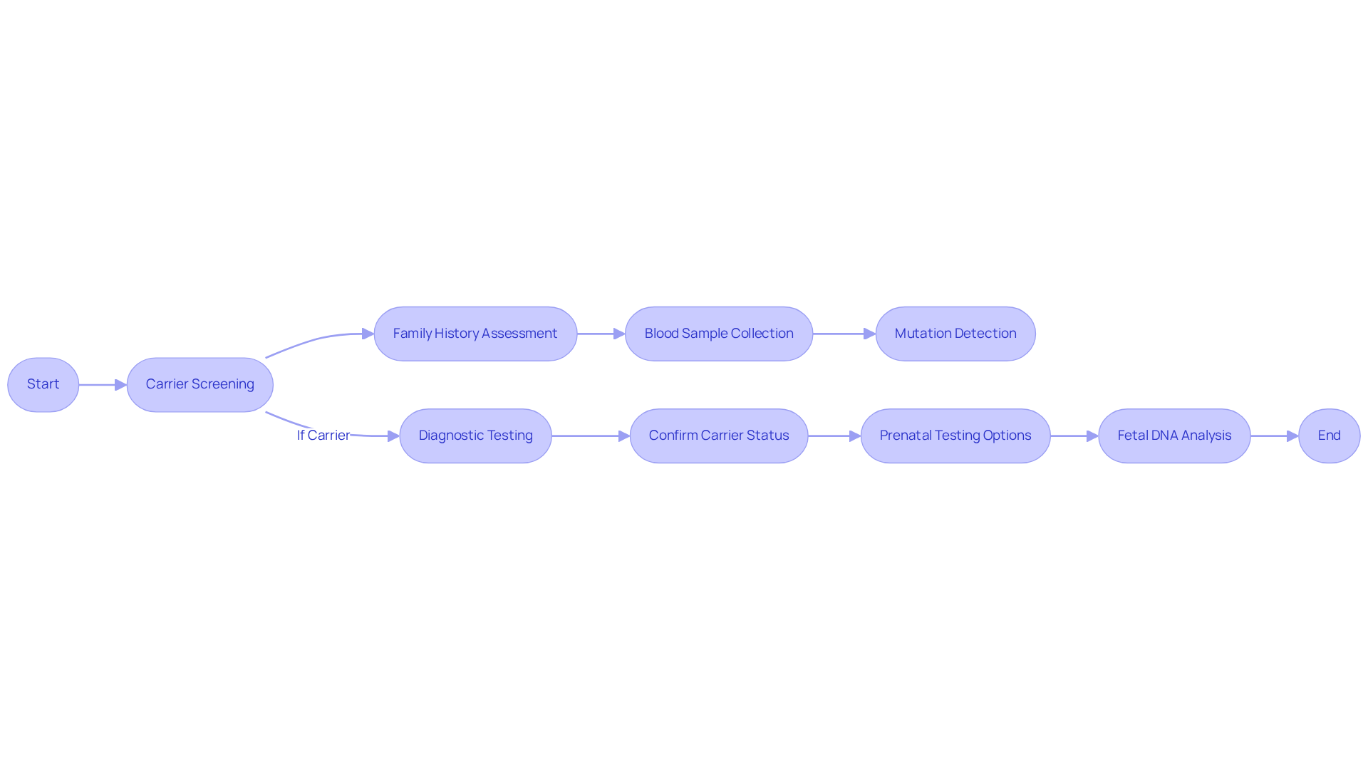 This flowchart shows the steps involved in genetic testing for Tay-Sachs. Follow the arrows to see how carrier screening leads to diagnostic testing, and what each step entails.