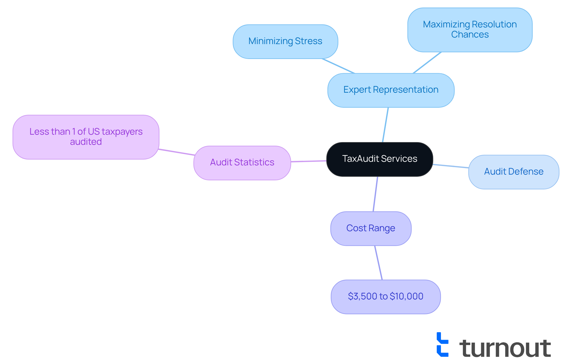 The central node represents TaxAudit's core services, while the branches show the benefits, costs, and relevant statistics. Each branch helps you see how these elements connect to the overall theme of audit support.