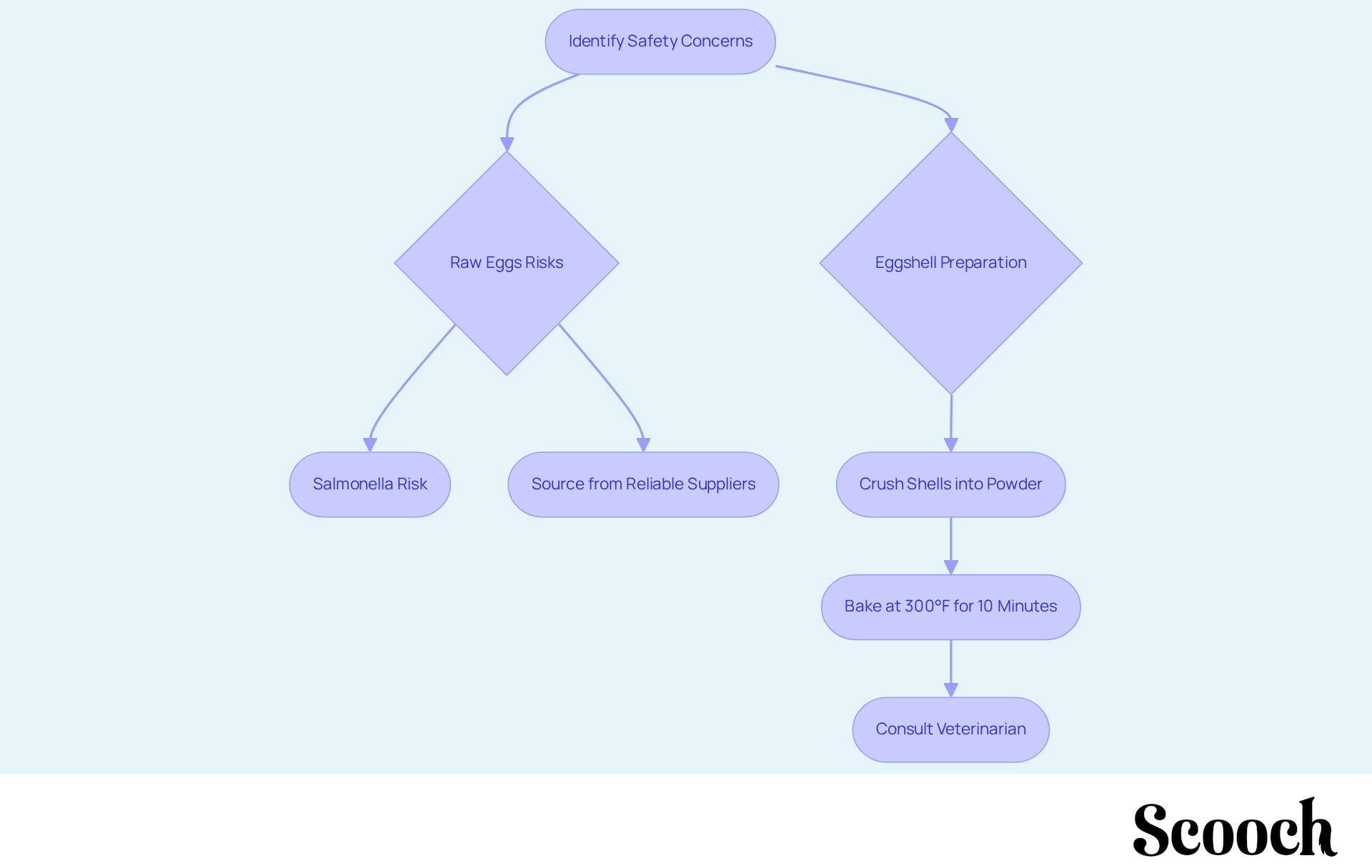 Can Dogs Have Eggshells? A Step-by-Step Feeding Guide