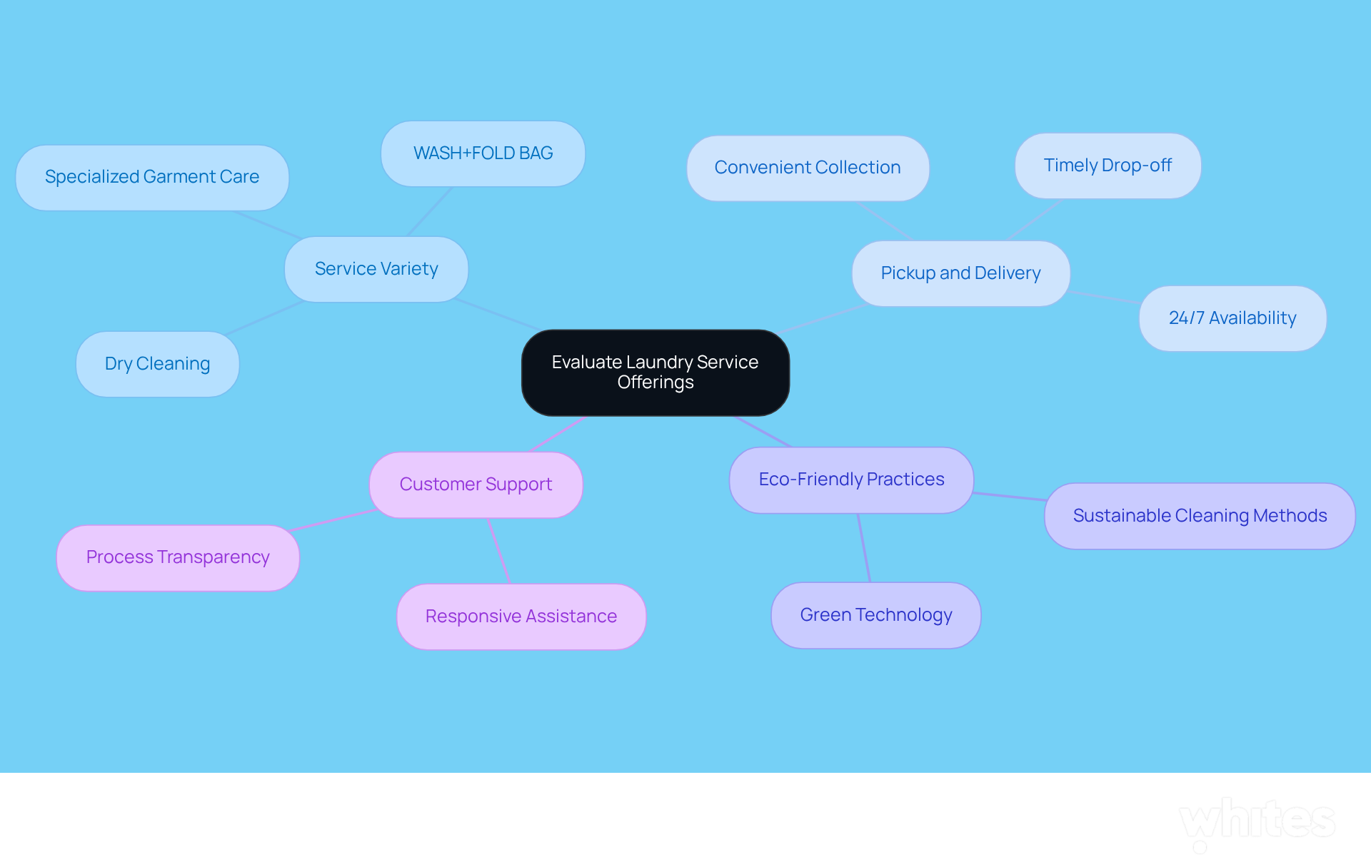 The center represents the main topic of evaluating laundry services. Each branch shows a key feature to consider, with further details branching out to provide more context. This layout helps you see how each feature contributes to choosing the right service.