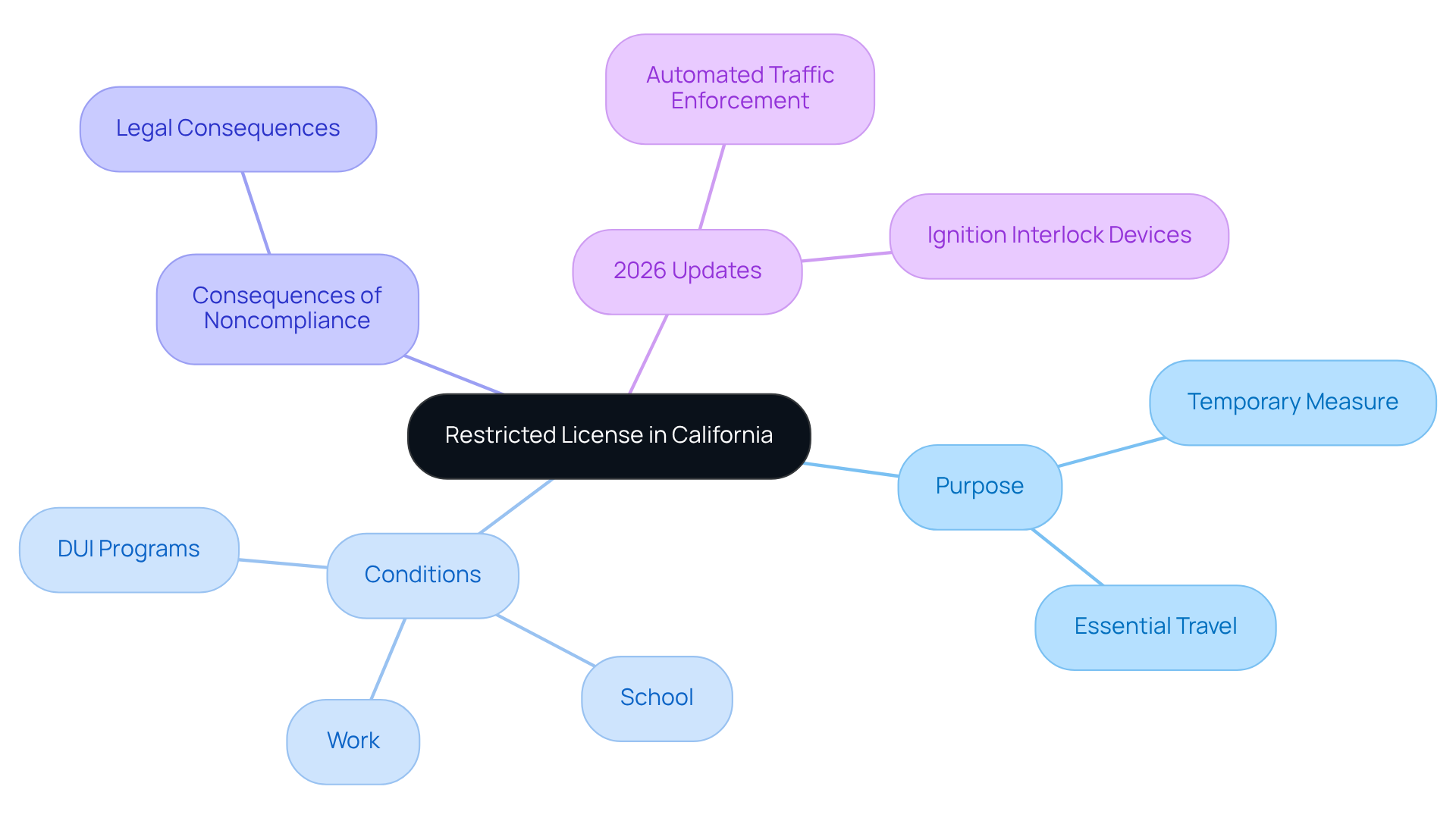 The central node represents the main topic, while the branches show related aspects of restricted licenses. Each color-coded branch helps you see how different elements connect to the overall concept, making it easier to grasp the information.