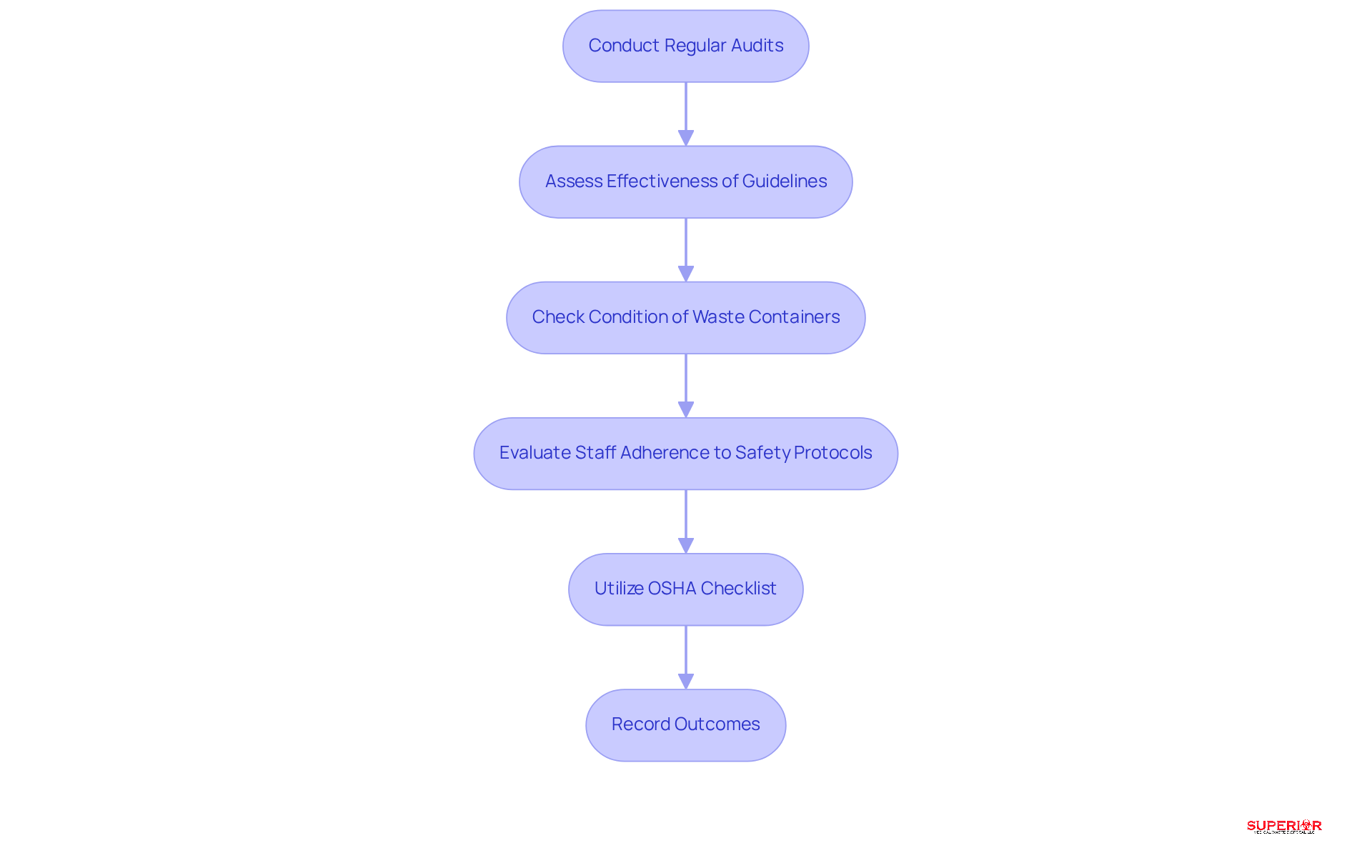 Follow the arrows to see how each step connects in the audit process. Each box represents an important action to ensure safety and compliance.