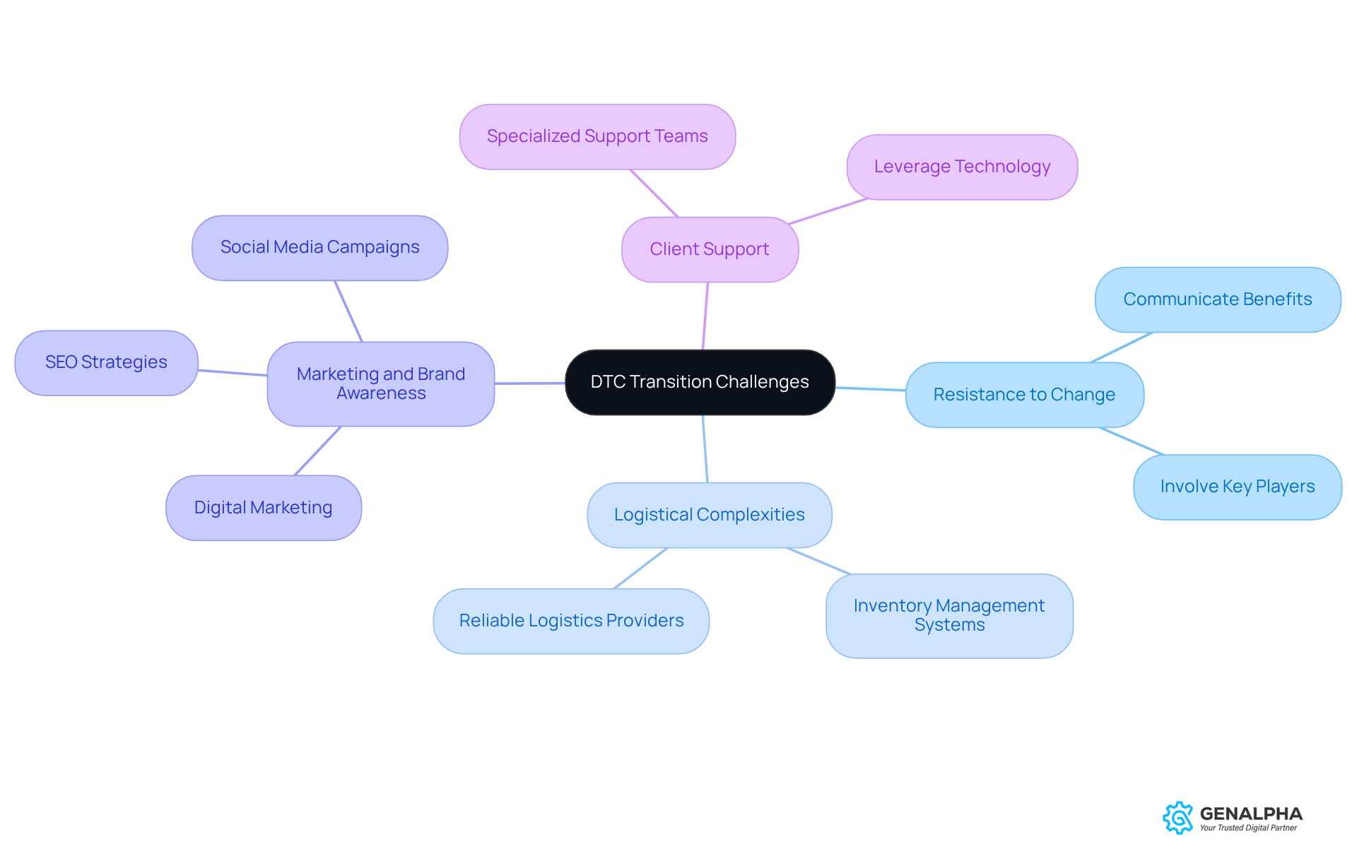 The central node represents the overall theme of transitioning to a DTC model. Each branch highlights a specific challenge, and the sub-branches provide strategies or considerations for overcoming those challenges.