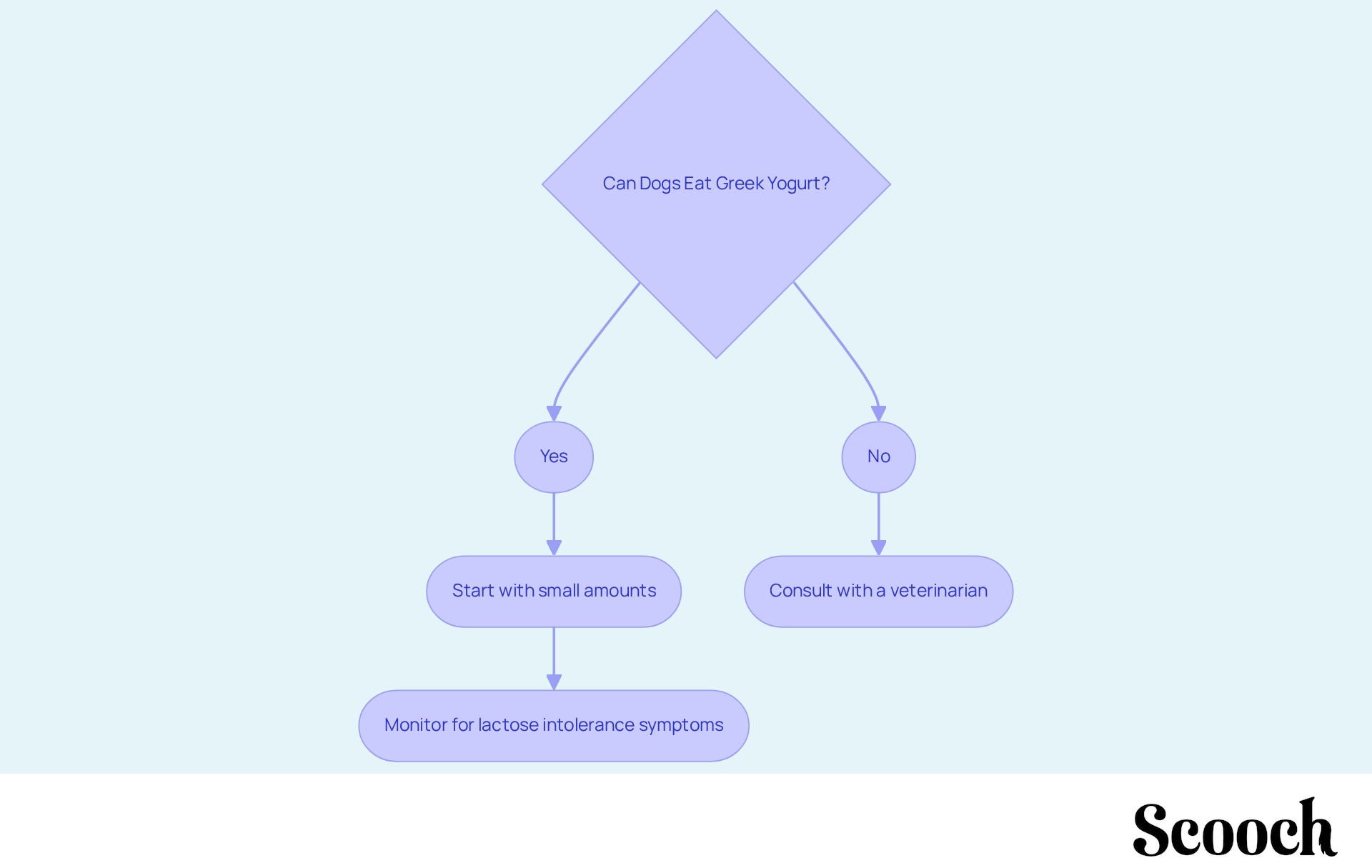 This flowchart guides you through the process of determining if Greek yogurt is safe for your dog. Follow the arrows to see what steps to take based on your dog's reaction.