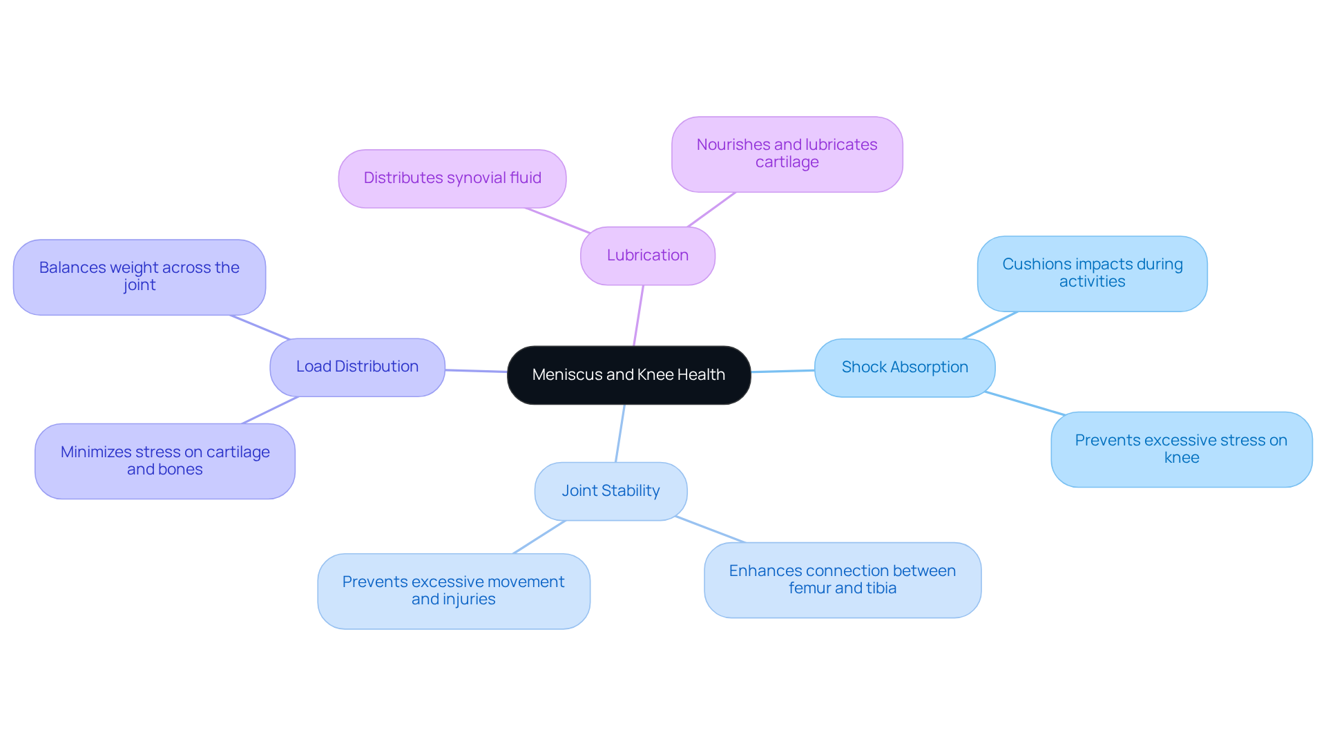 The central node represents the meniscus, while the branches show its key roles in knee health. Each function is crucial for maintaining joint stability and preventing injury.