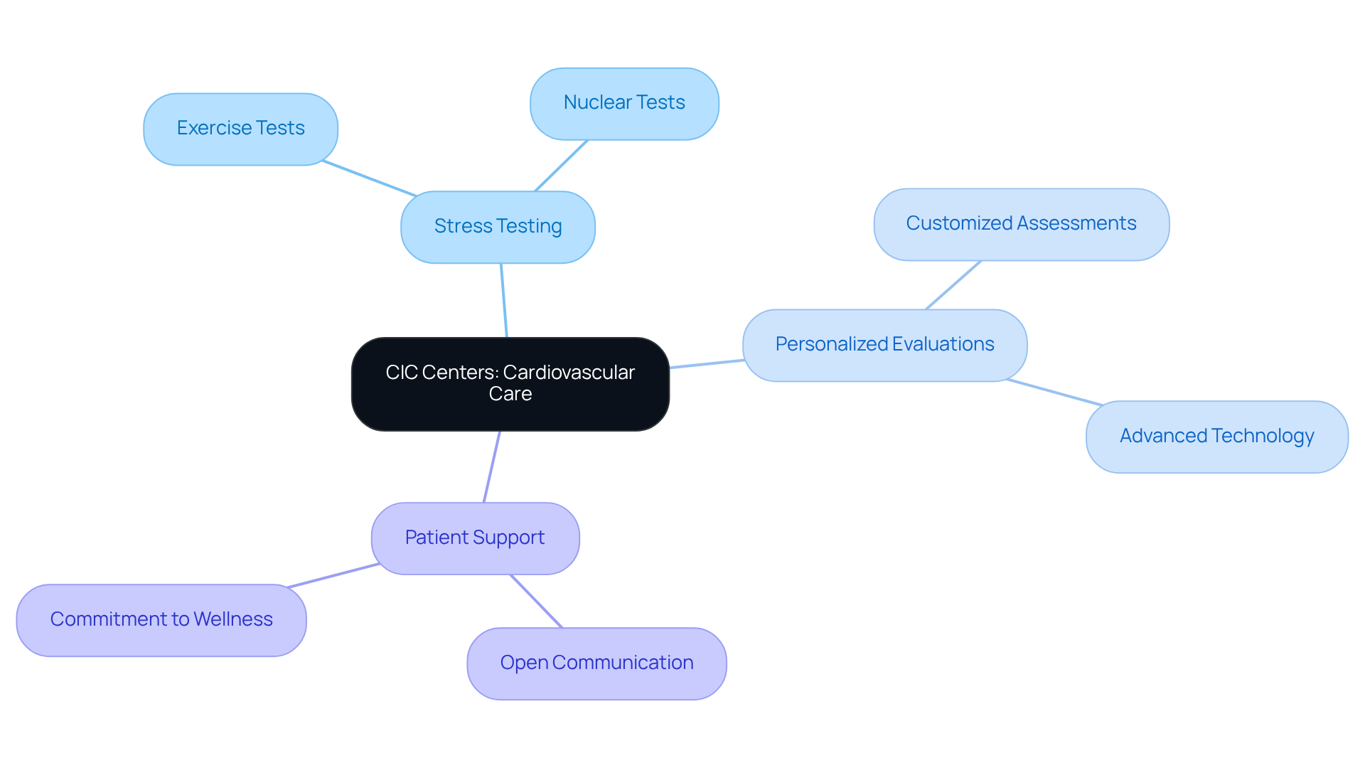 The central node represents CIC Centers' focus on heart health, with branches showing the key components of their care approach. Each branch highlights a specific area of expertise, illustrating how they work together to provide comprehensive cardiovascular support.