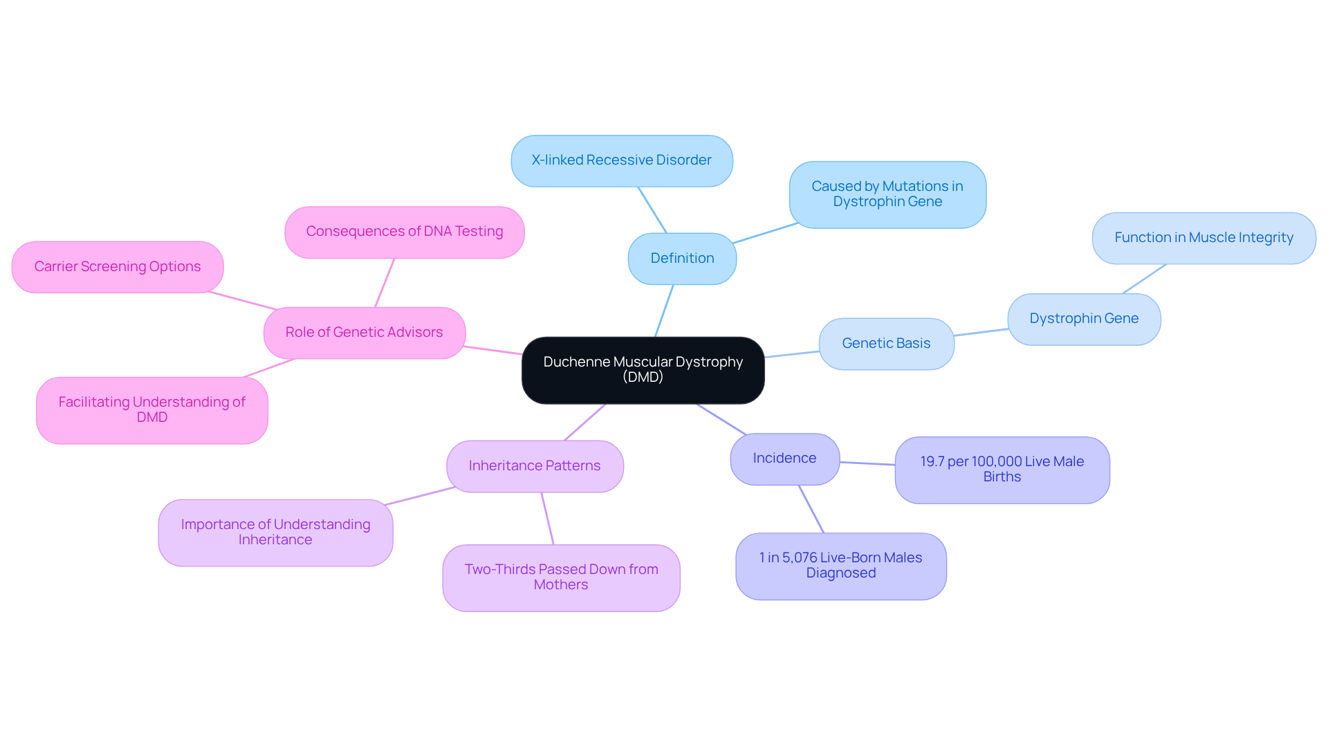 This mindmap starts with DMD at the center and branches out to show its definition, genetic causes, how often it occurs, how it is inherited, and the importance of genetic advisors. Each branch helps you see the connections and details about DMD in a clear and organized way. This mindmap starts with DMD at the center and branches out to show its definition, genetic causes, how often it occurs, how it is inherited, and the importance of genetic advisors. Each branch helps you see the connections and details about DMD in a clear and organized way.