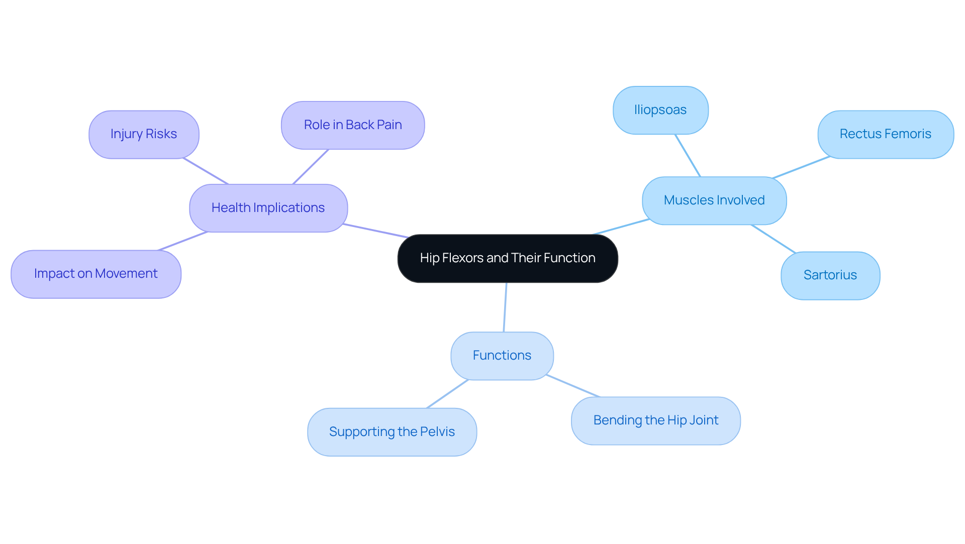 The central node represents hip flexors, with branches showing the specific muscles and their roles. Each branch highlights how these muscles contribute to movement and overall health, emphasizing the importance of maintaining their strength and flexibility. The central node represents hip flexors, with branches showing the specific muscles and their roles. Each branch highlights how these muscles contribute to movement and overall health, emphasizing the importance of maintaining their strength and flexibility.
