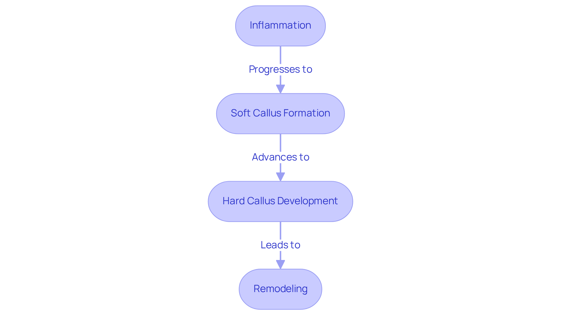 Each box represents a stage in the healing process of a broken wrist. Follow the arrows to see how healing progresses from inflammation to remodeling, highlighting the importance of each phase.