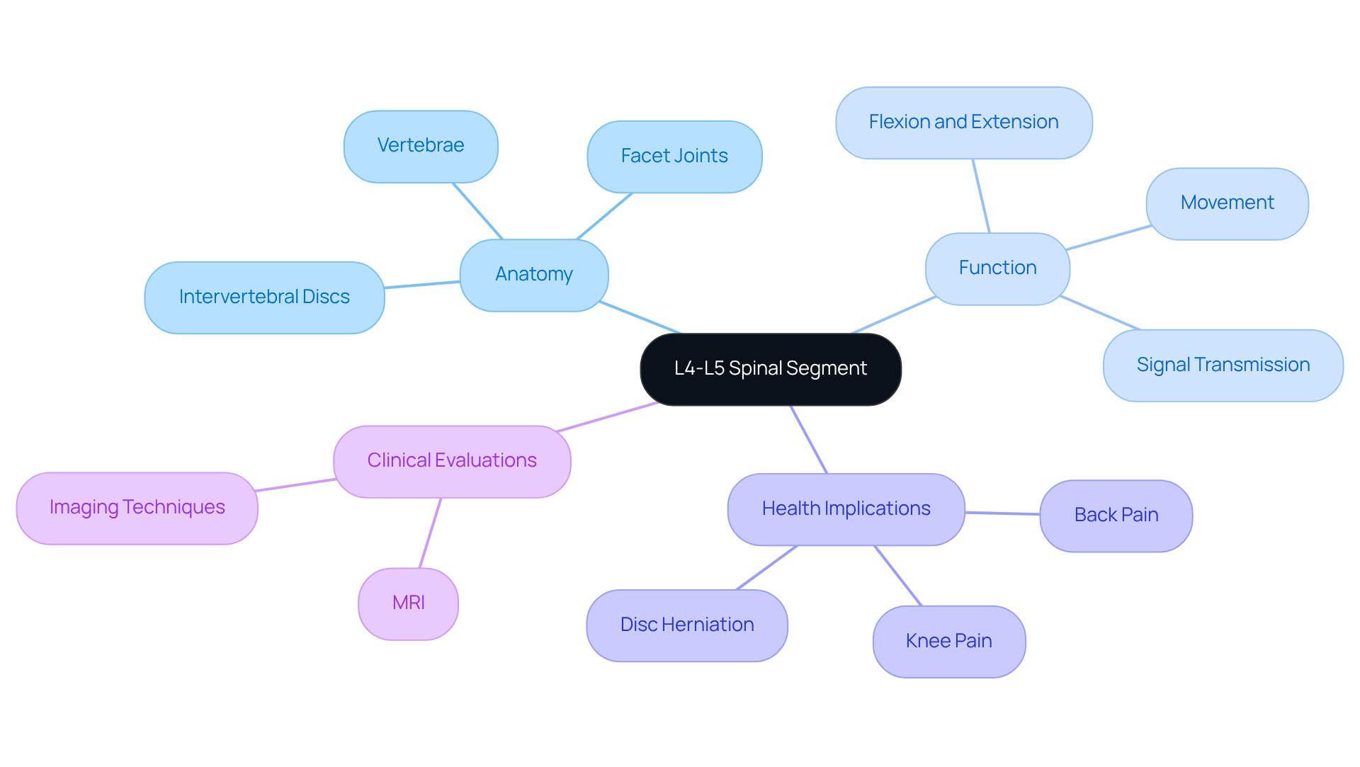 This mindmap starts with the L4-L5 spinal segment at the center. Each branch represents a different aspect of this segment, such as its anatomy, functions, and health implications. Follow the branches to explore how these elements are interconnected and their importance in maintaining spinal health.