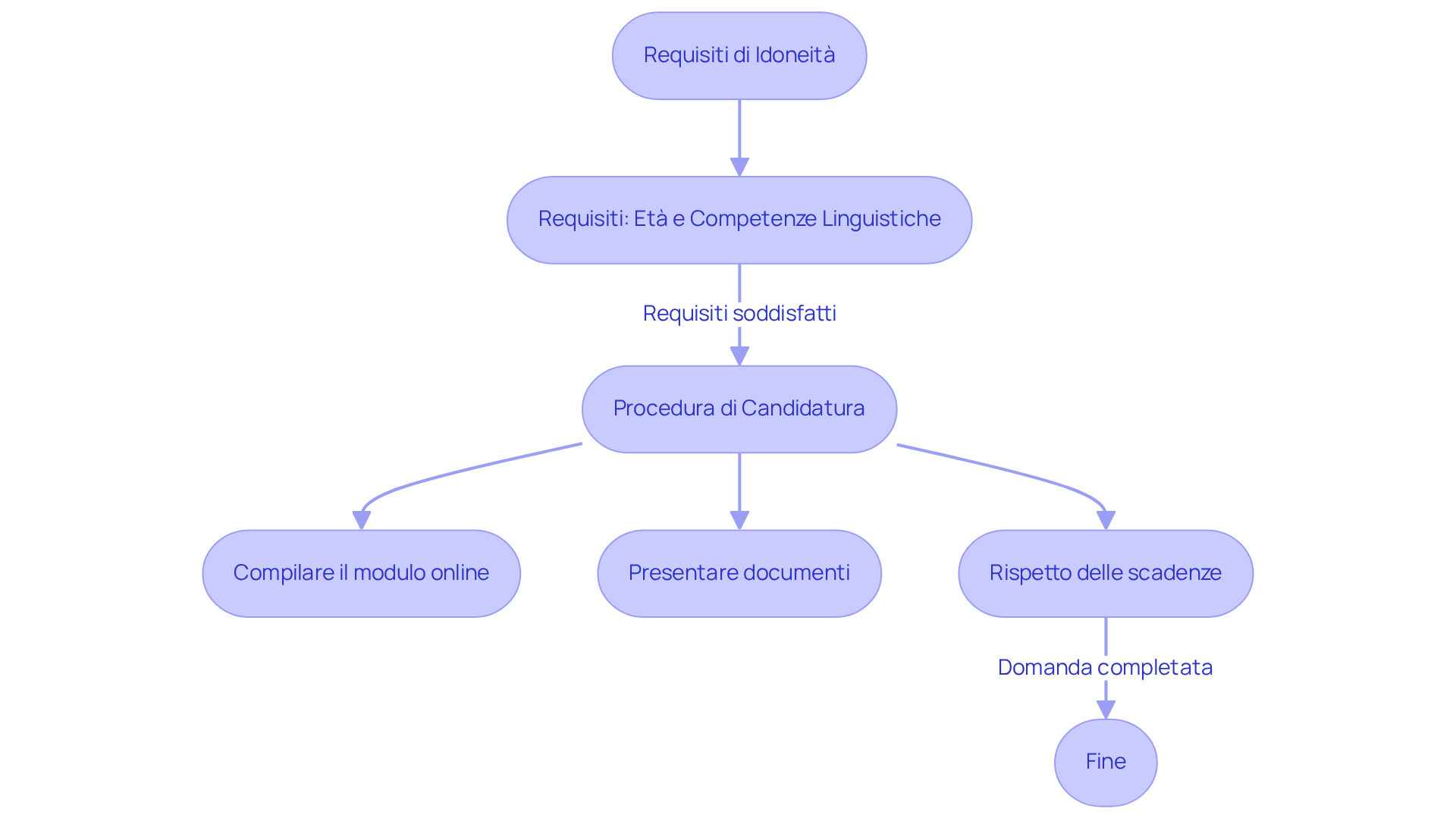 Ogni blocco rappresenta un passaggio nella procedura di candidatura. Segui le frecce per vedere come procedere e quali requisiti soddisfare per avere successo.