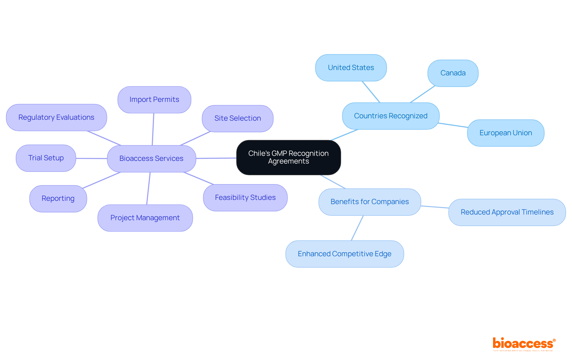 The central node represents the main topic, while branches show related areas. Each color-coded branch helps you see how different aspects connect to the main idea, making it easier to grasp the overall structure. The central node represents the main topic, while branches show related areas. Each color-coded branch helps you see how different aspects connect to the main idea, making it easier to grasp the overall structure.