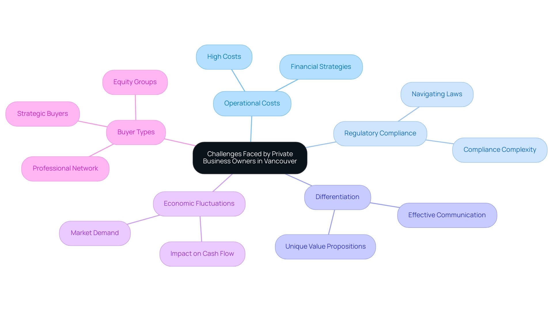 Each branch represents a main challenge or strategy, with sub-branches detailing specific elements related to those challenges and strategies.