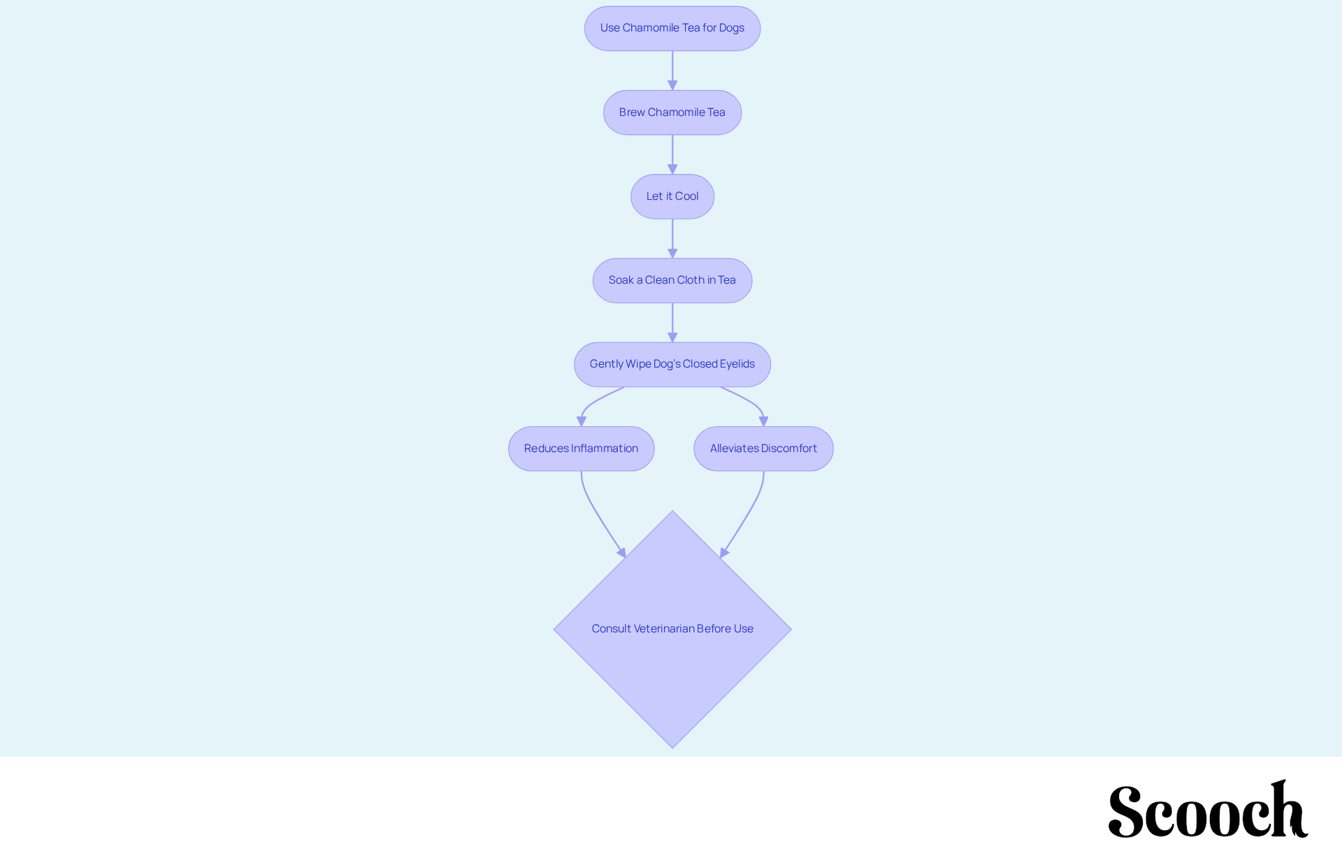 Follow the arrows to see how to use chamomile tea for your dog. Each step shows what to do and the benefits you can expect. Don't forget to check with your vet before trying new remedies! Follow the arrows to see how to use chamomile tea for your dog. Each step shows what to do and the benefits you can expect. Don't forget to check with your vet before trying new remedies!