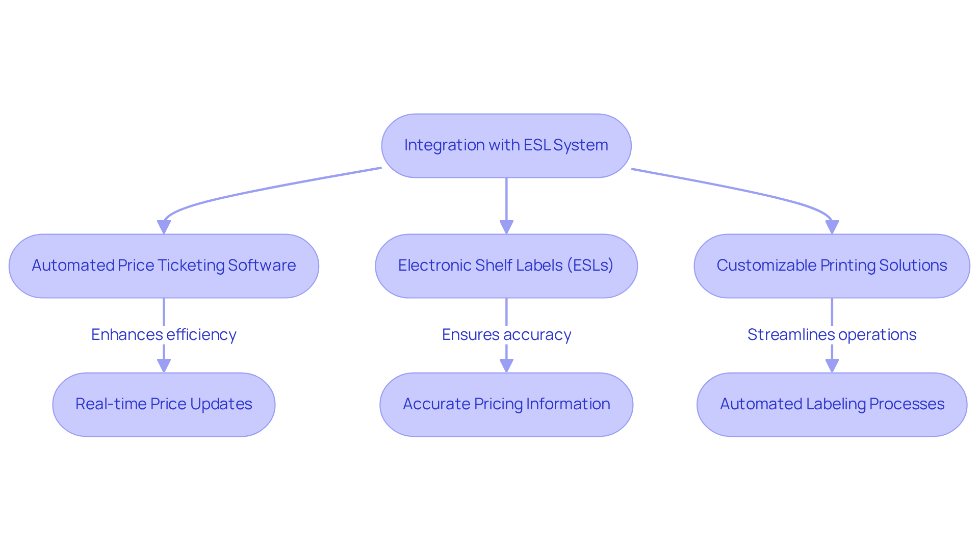 Each box represents a crucial component of the ESL integration. Follow the arrows to see how these elements work together to improve efficiency in retail. Each box represents a crucial component of the ESL integration. Follow the arrows to see how these elements work together to improve efficiency in retail.