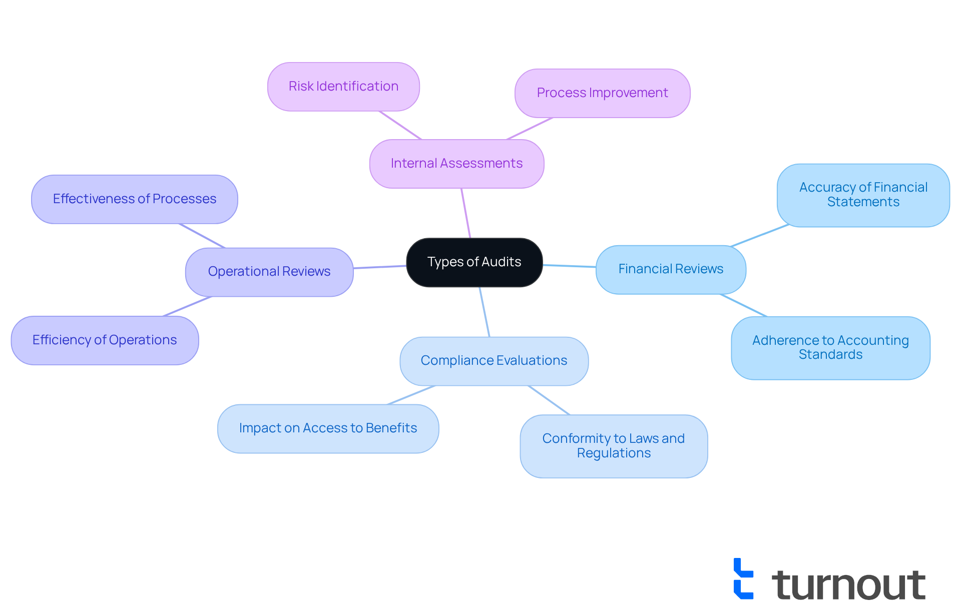 This mindmap shows the different types of audits you may encounter. Each branch represents a type of audit, and the sub-branches explain what that audit focuses on. It helps you understand how these audits relate to your rights and compliance.