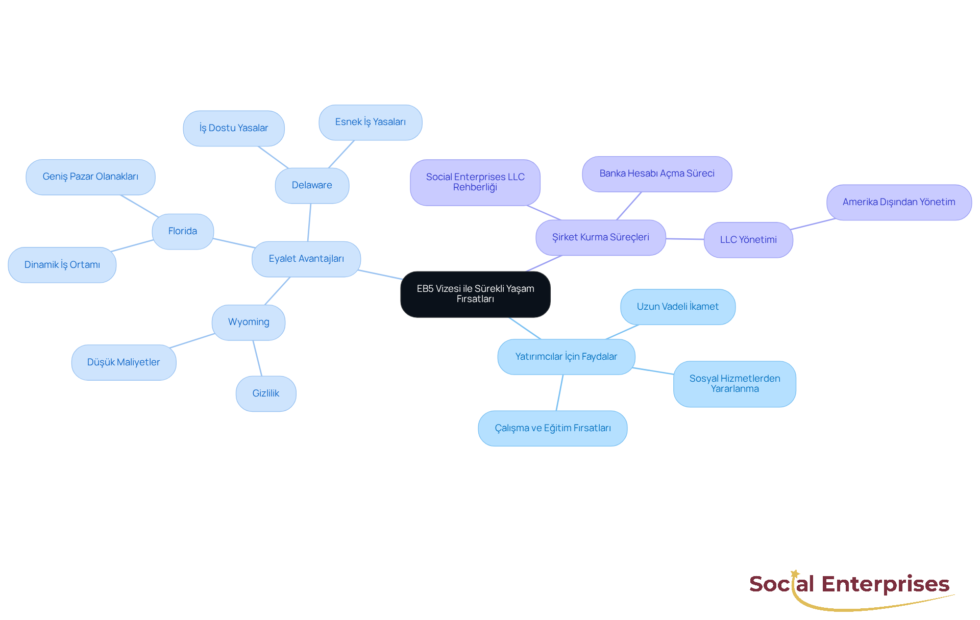 Merkezdeki kavram EB5 vizesi, etrafındaki dallar ise bu vizenin sağladığı fırsatlar ve eyaletlerin avantajları. Her dalın altında, detaylar okuyuculara daha fazla bilgi sunuyor.