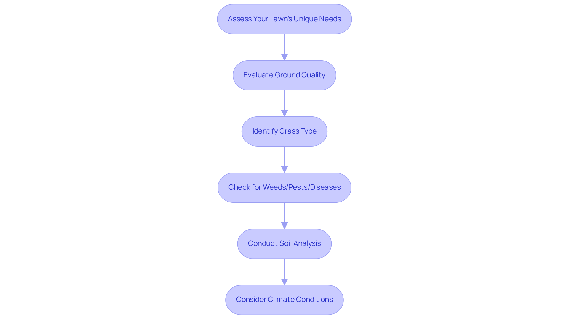 Follow the arrows to see the steps you need to take for a thorough lawn assessment. Each box represents a key action to ensure your lawn stays healthy and vibrant. Follow the arrows to see the steps you need to take for a thorough lawn assessment. Each box represents a key action to ensure your lawn stays healthy and vibrant.