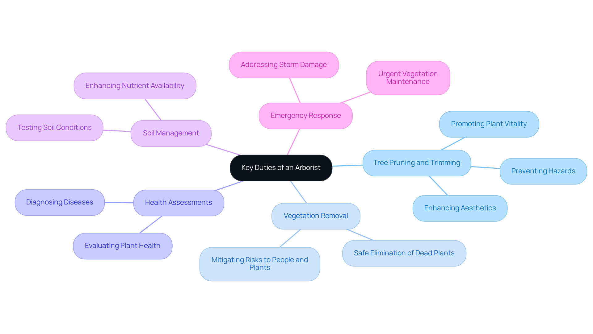 The center represents the overall role of an arborist, while each branch shows a specific duty. The sub-branches provide additional details about what each responsibility entails.