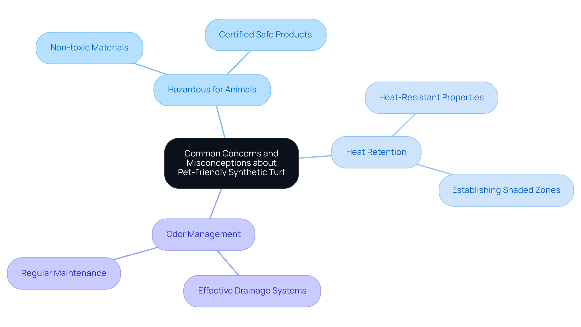 The central node represents the overall theme of misconceptions. Each branch highlights a specific concern, with further details provided in sub-branches. This layout helps you understand the various aspects of synthetic turf and how they relate to pet safety and comfort. The central node represents the overall theme of misconceptions. Each branch highlights a specific concern, with further details provided in sub-branches. This layout helps you understand the various aspects of synthetic turf and how they relate to pet safety and comfort.
