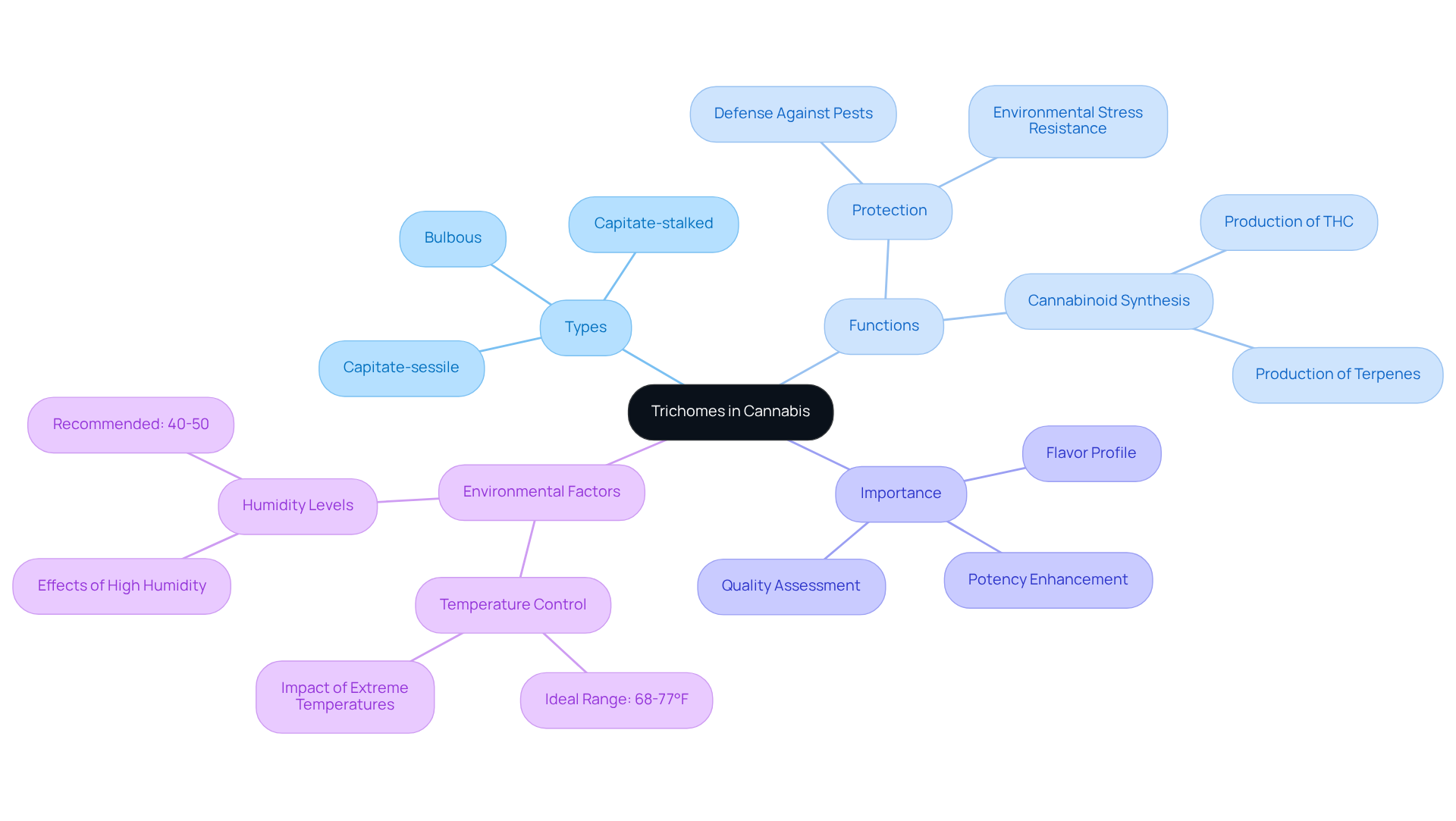 The central idea is trichomes, which extend into different branches showing their types, roles, and how they are affected by the environment. Each color represents a different aspect of trichomes, making it easier to navigate and understand the information.