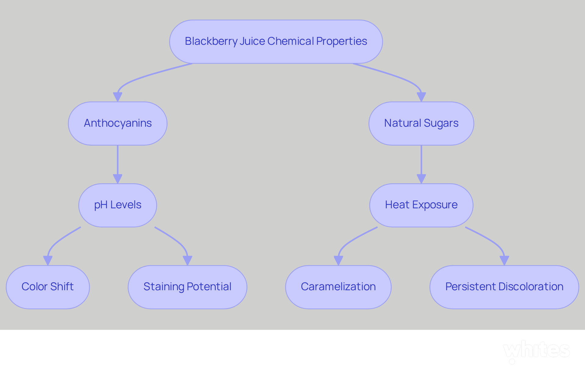 Analyze the Chemical Properties of Blackberry Juice