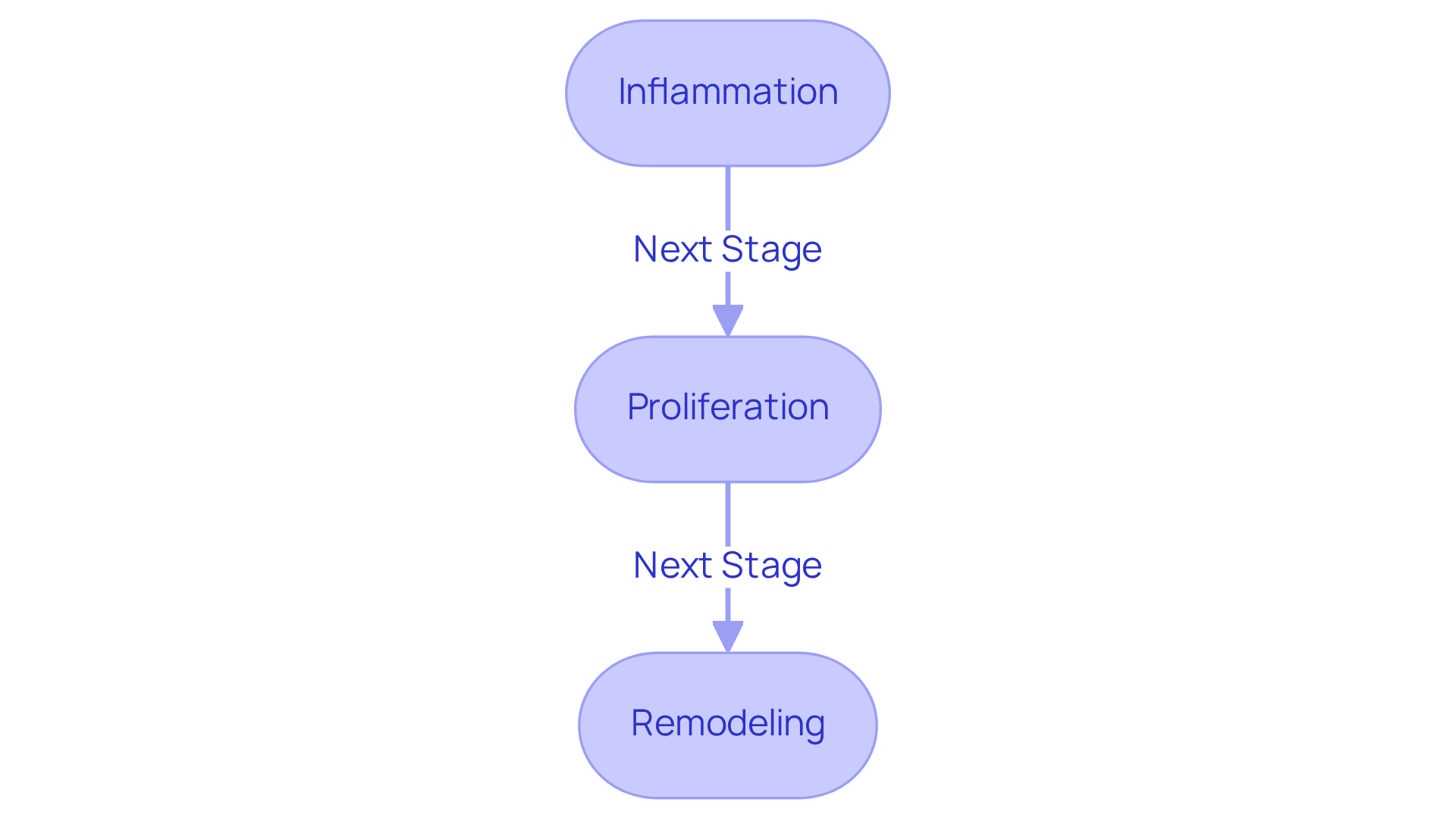 This flowchart shows the journey of tendon healing. Each box represents a stage: 'Inflammation' is the tough start, 'Proliferation' is where healing begins, and 'Remodeling' is the final phase where strength returns. Follow the arrows to see how each stage leads to the next!