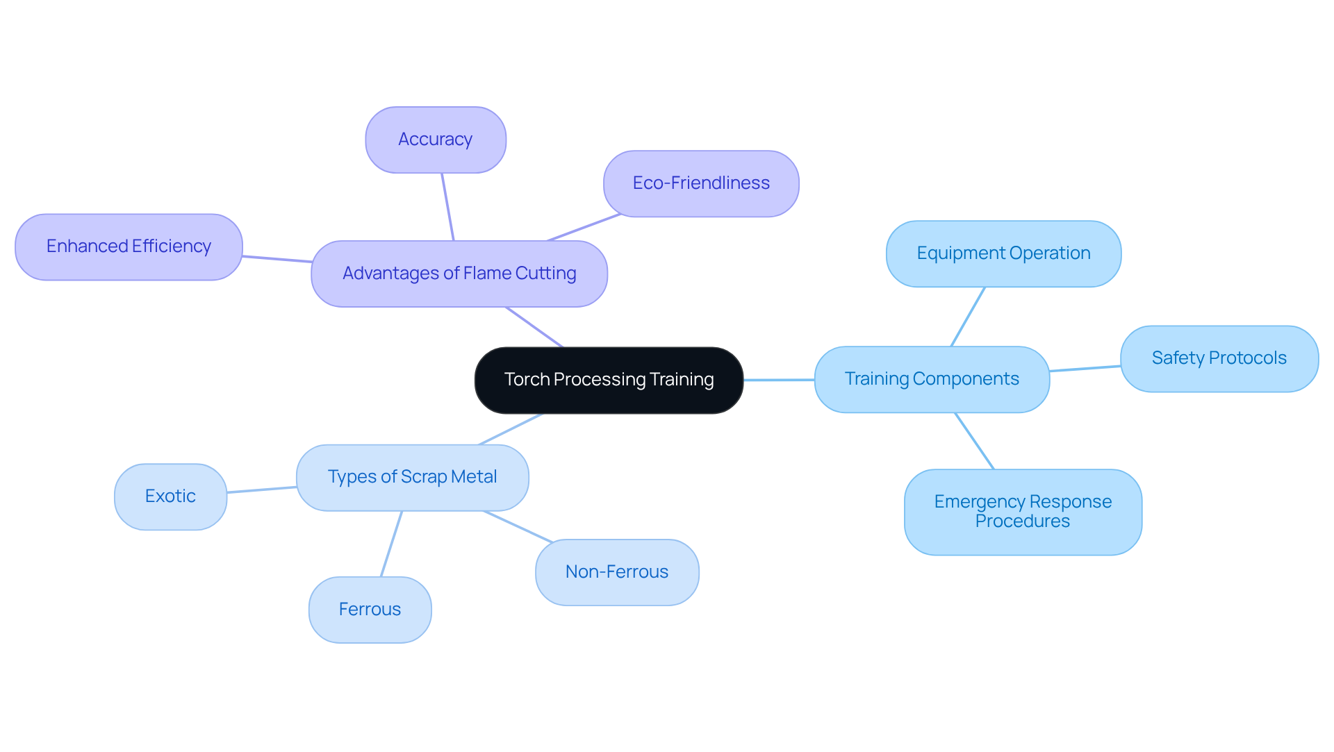 The central node represents the overall training focus, while the branches show the different components of the training program. Each sub-branch provides specific details, helping you understand how each part contributes to effective torch processing operations.